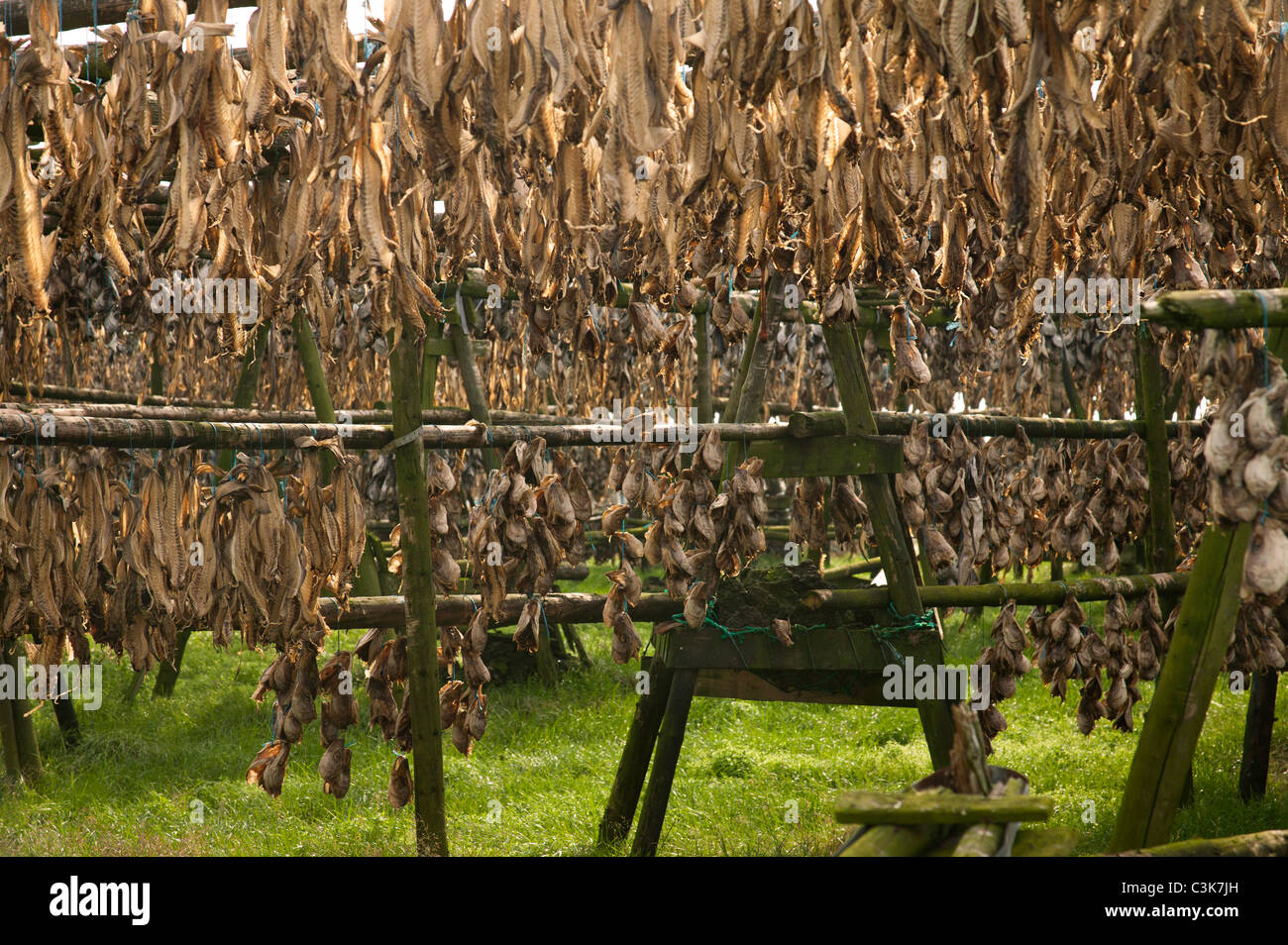 Traditional fish open air fish drying hi-res stock photography and ...