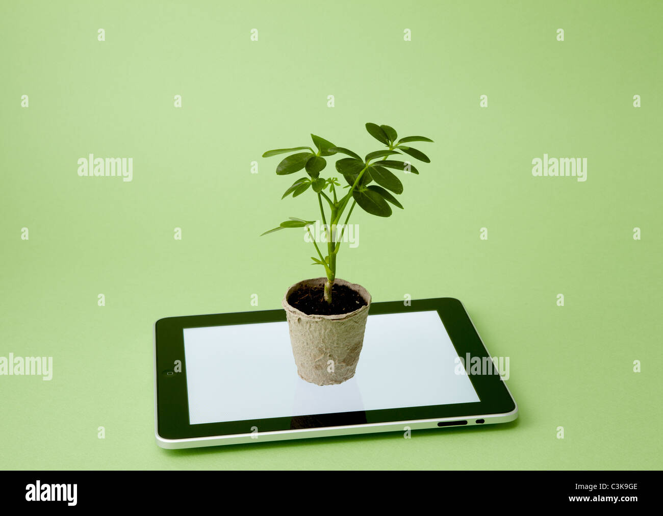 Tablet PC and potted plant Stock Photo - Alamy