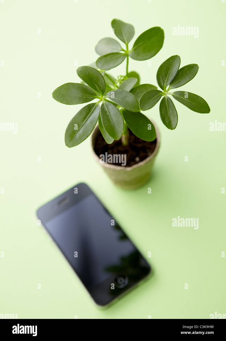 Smartphone and potted plant Stock Photo - Alamy