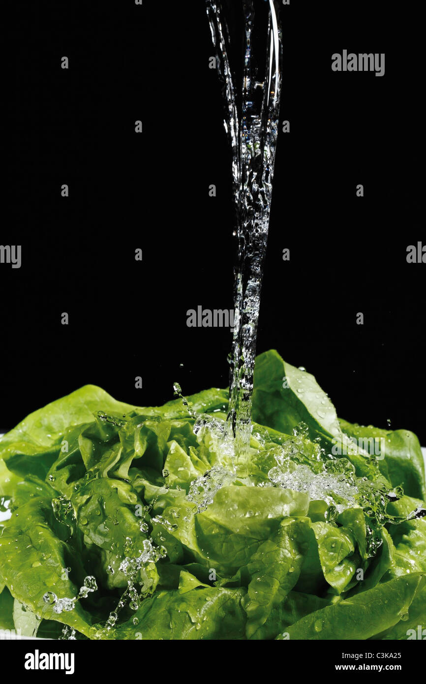 Eating under water hi-res stock photography and images - Alamy