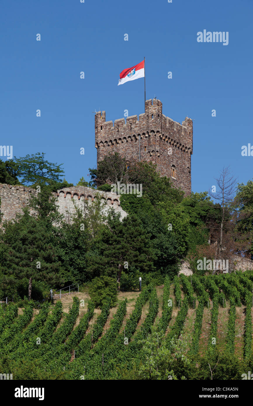 Europe, Germany, Rhine-Palatinate, Bingen, View of klopp castle Stock ...