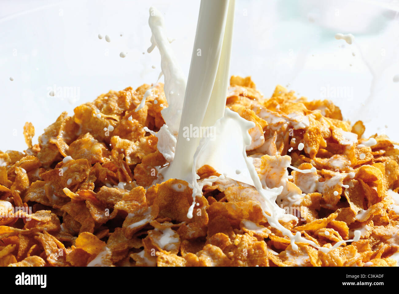 Bowl of cornflakes with milk Stock Photo - Alamy