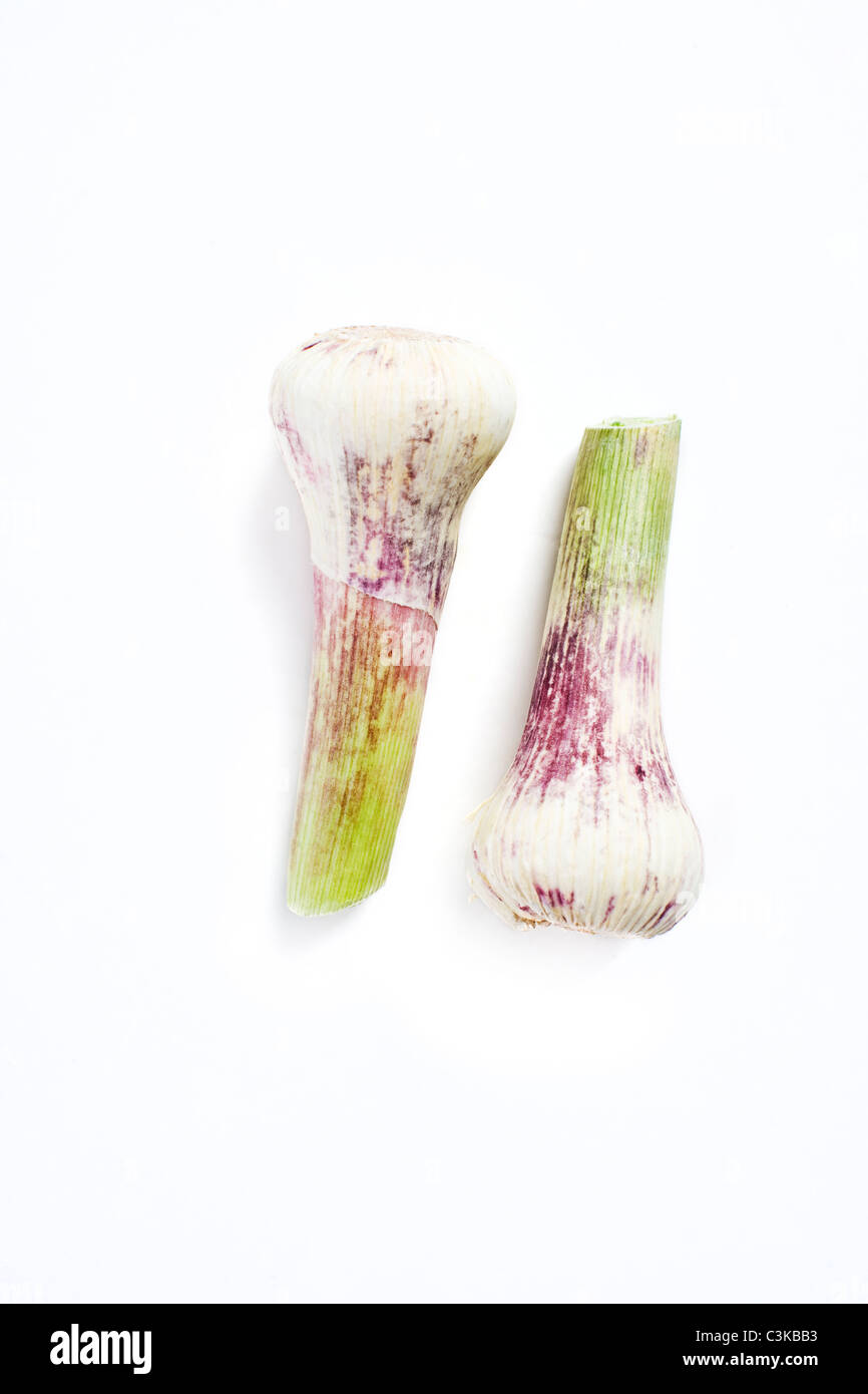 Allium sativum garlic bulbs Cut Out Stock Images & Pictures - Alamy