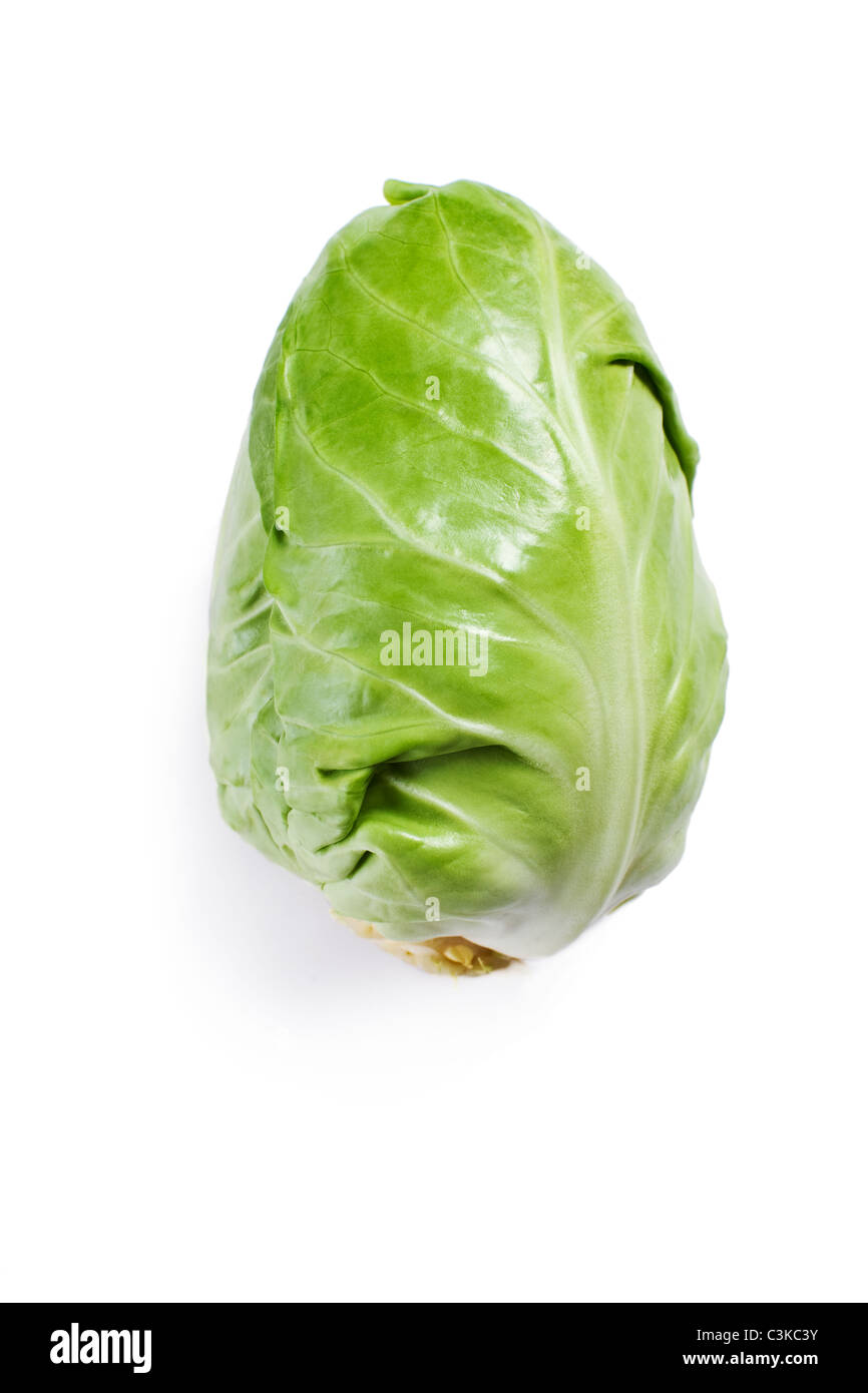 Closeup shot cabbage white hi-res stock photography and images - Alamy