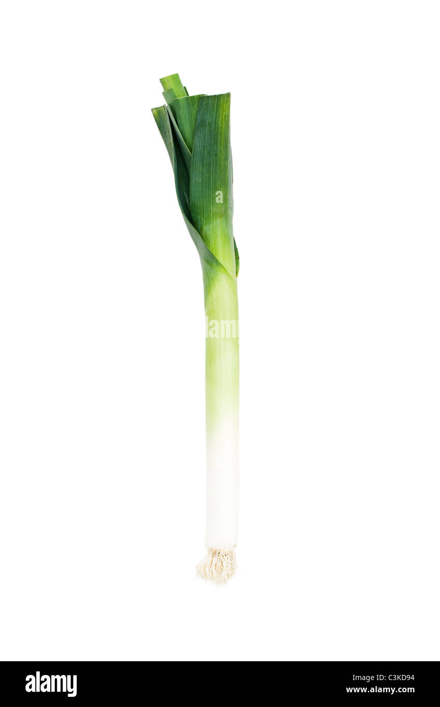 Studio close up branch hi-res stock photography and images - Alamy