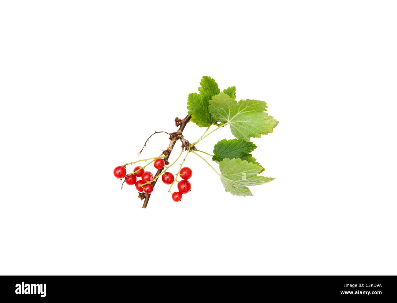 Ecological current hi-res stock photography and images - Alamy