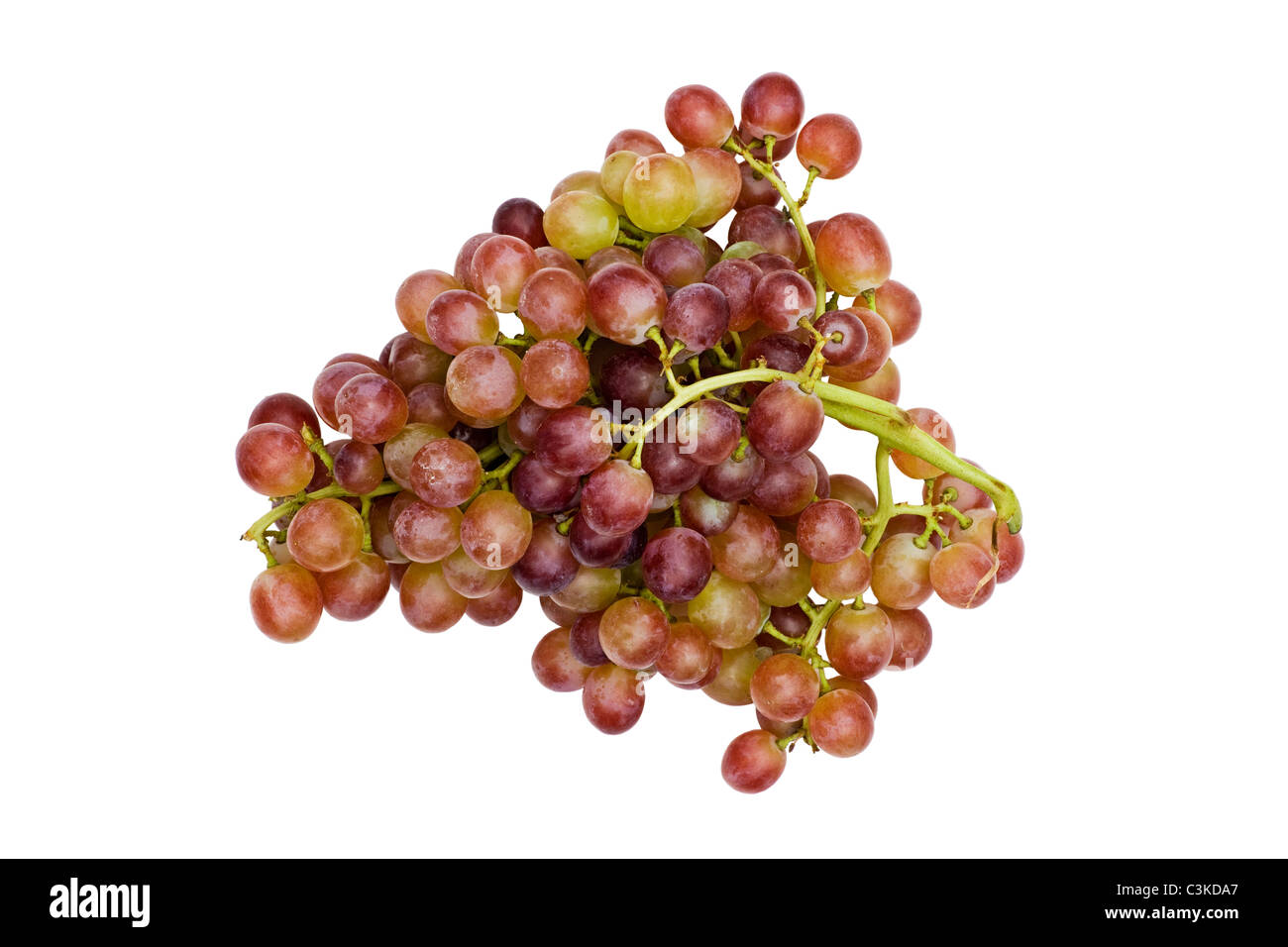 White studio environment hi-res stock photography and images - Alamy