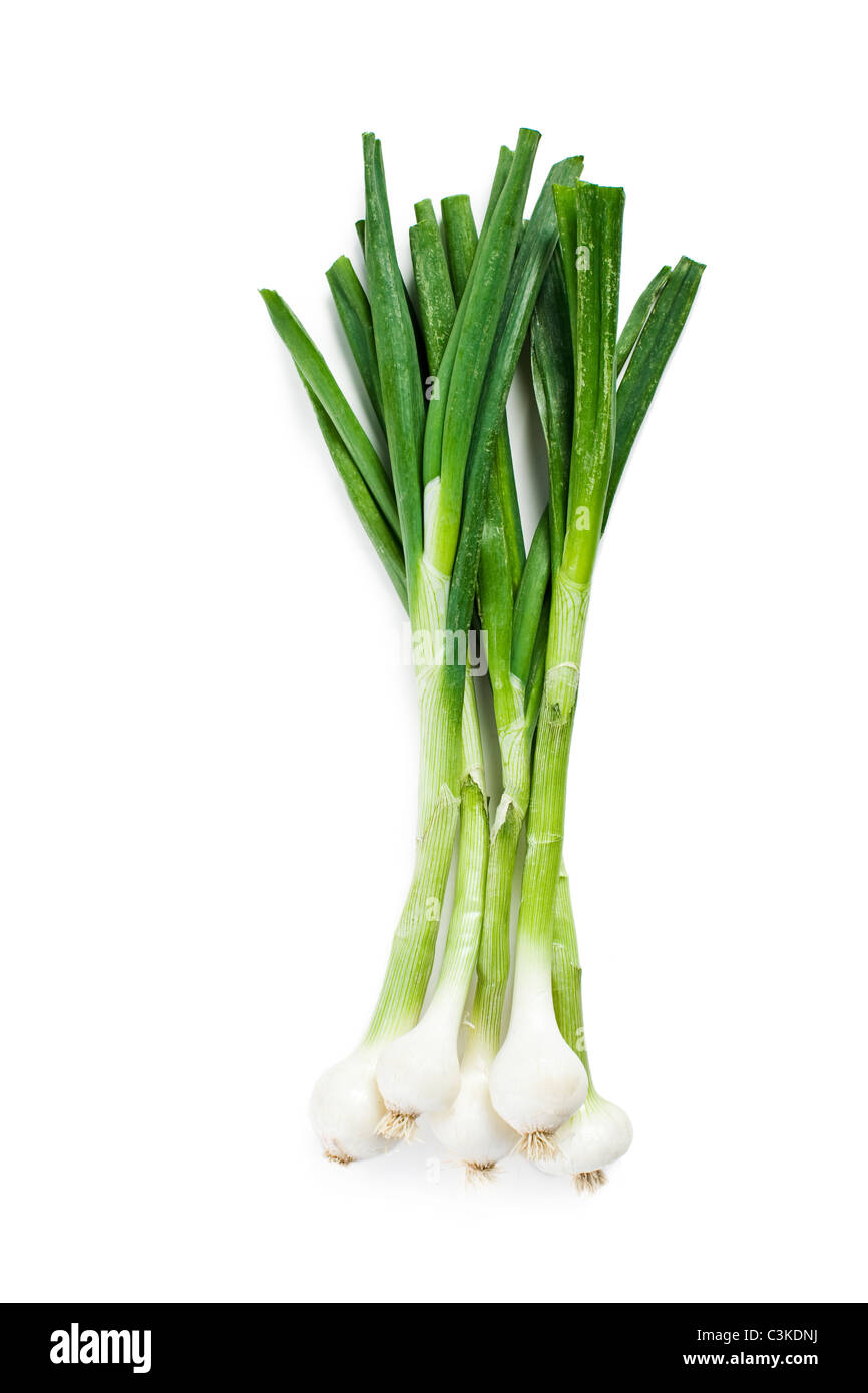 Close-up studio shot of organic Scallion Stock Photo - Alamy