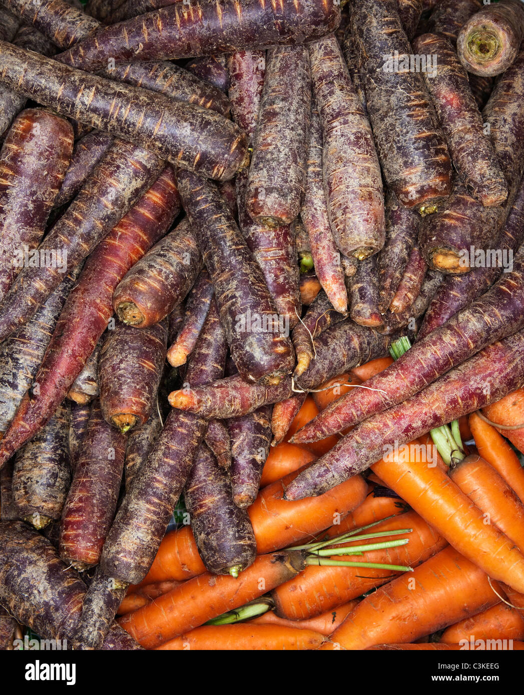 Heap of raw carrots Stock Photo - Alamy