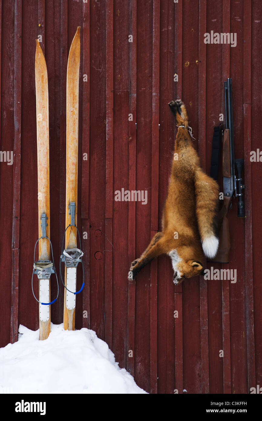 Fox hunt chase hi-res stock photography and images - Alamy