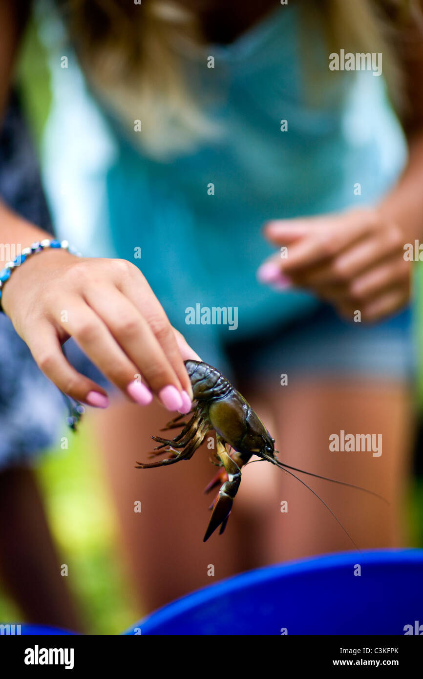 Human hand crayfish hi-res stock photography and images - Alamy