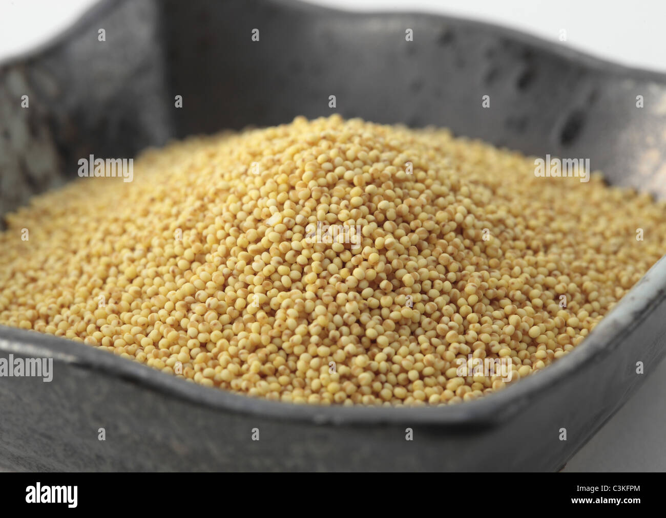 Foxtail millet hi-res stock photography and images - Alamy