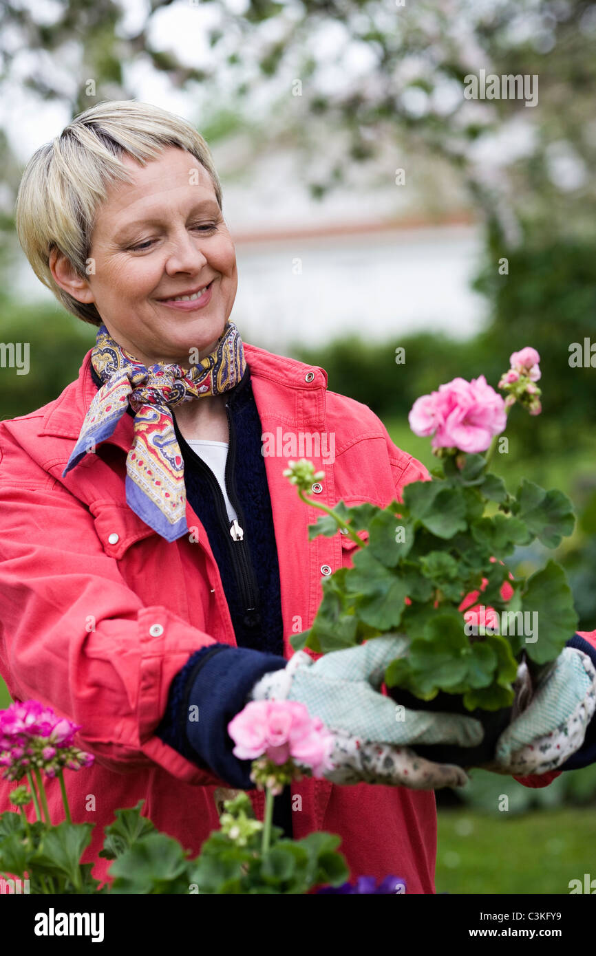 Flowering only half a day hi-res stock photography and images - Alamy