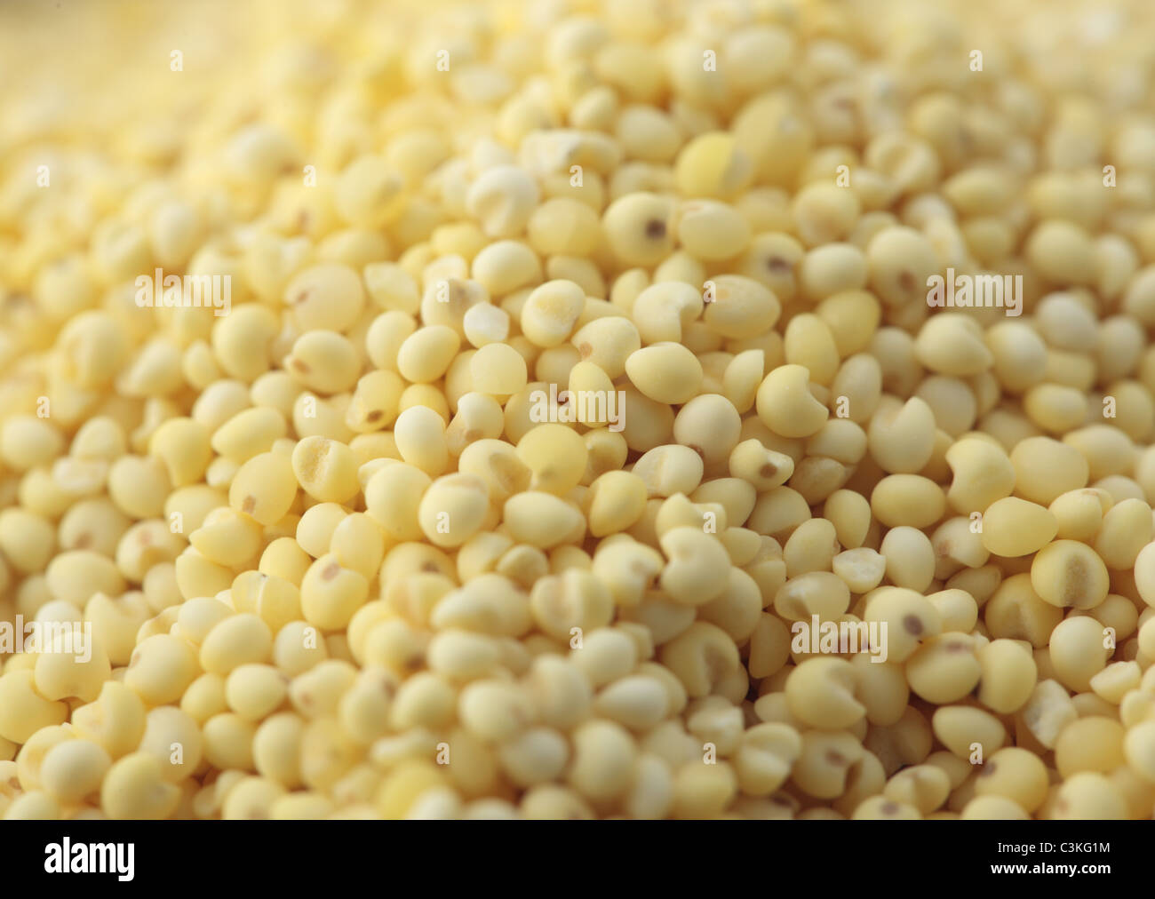Proso millet hi-res stock photography and images - Alamy