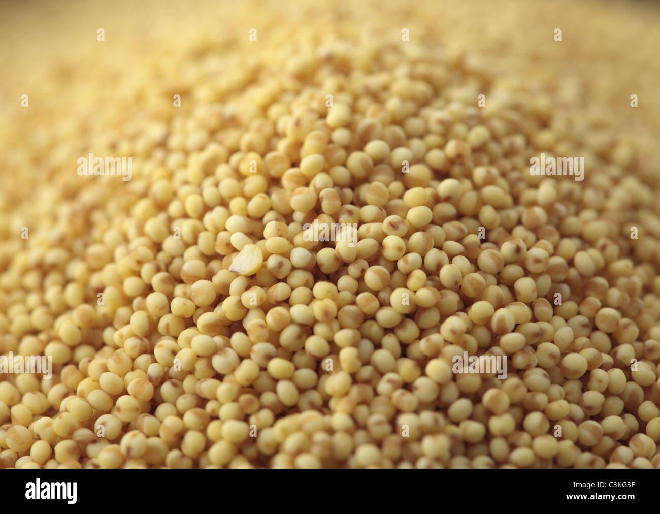 Foxtail millet hi-res stock photography and images - Alamy