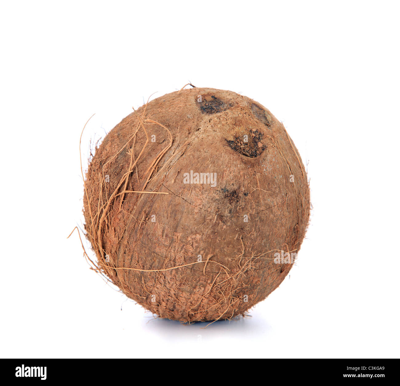 Single coconut. All on white background Stock Photo - Alamy