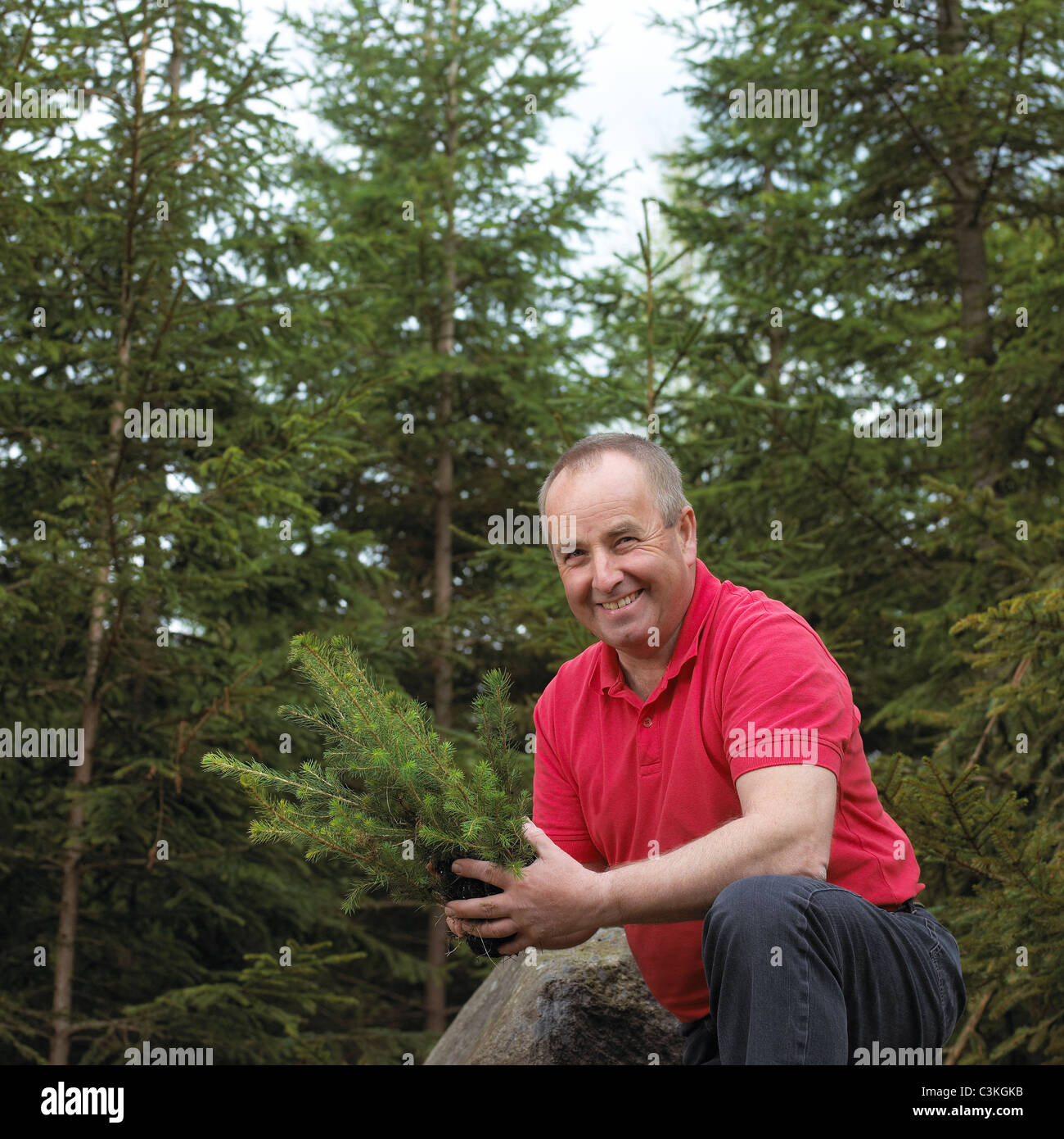 Sapling and mature tree hi-res stock photography and images - Alamy