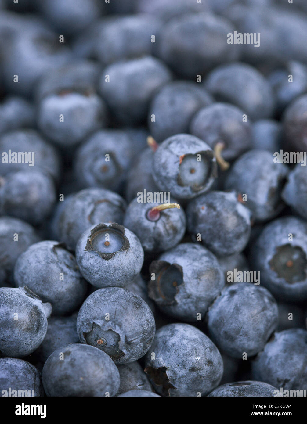 Numerous blueberries hi-res stock photography and images - Alamy
