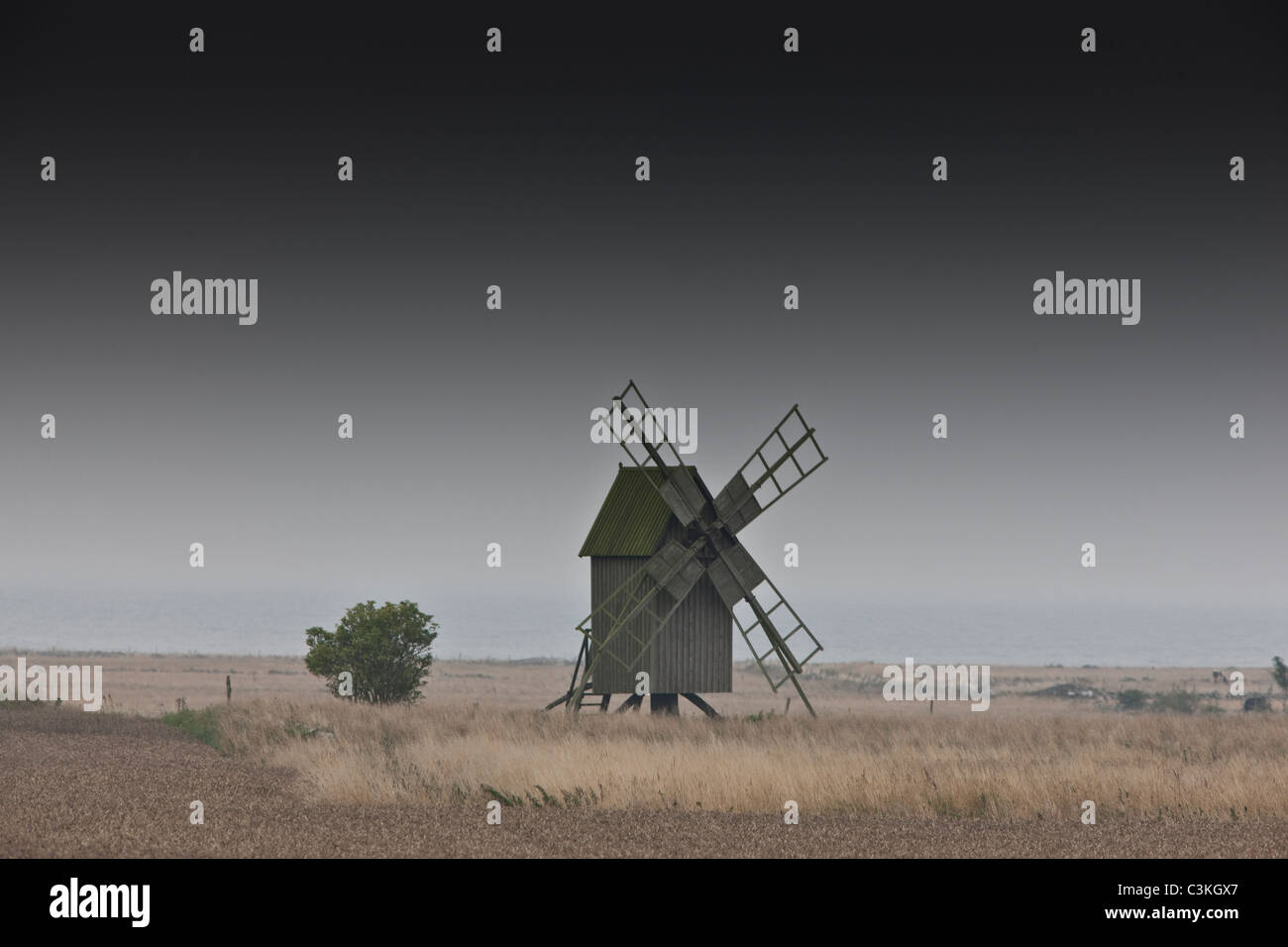 Old windmill on farm Stock Photo - Alamy