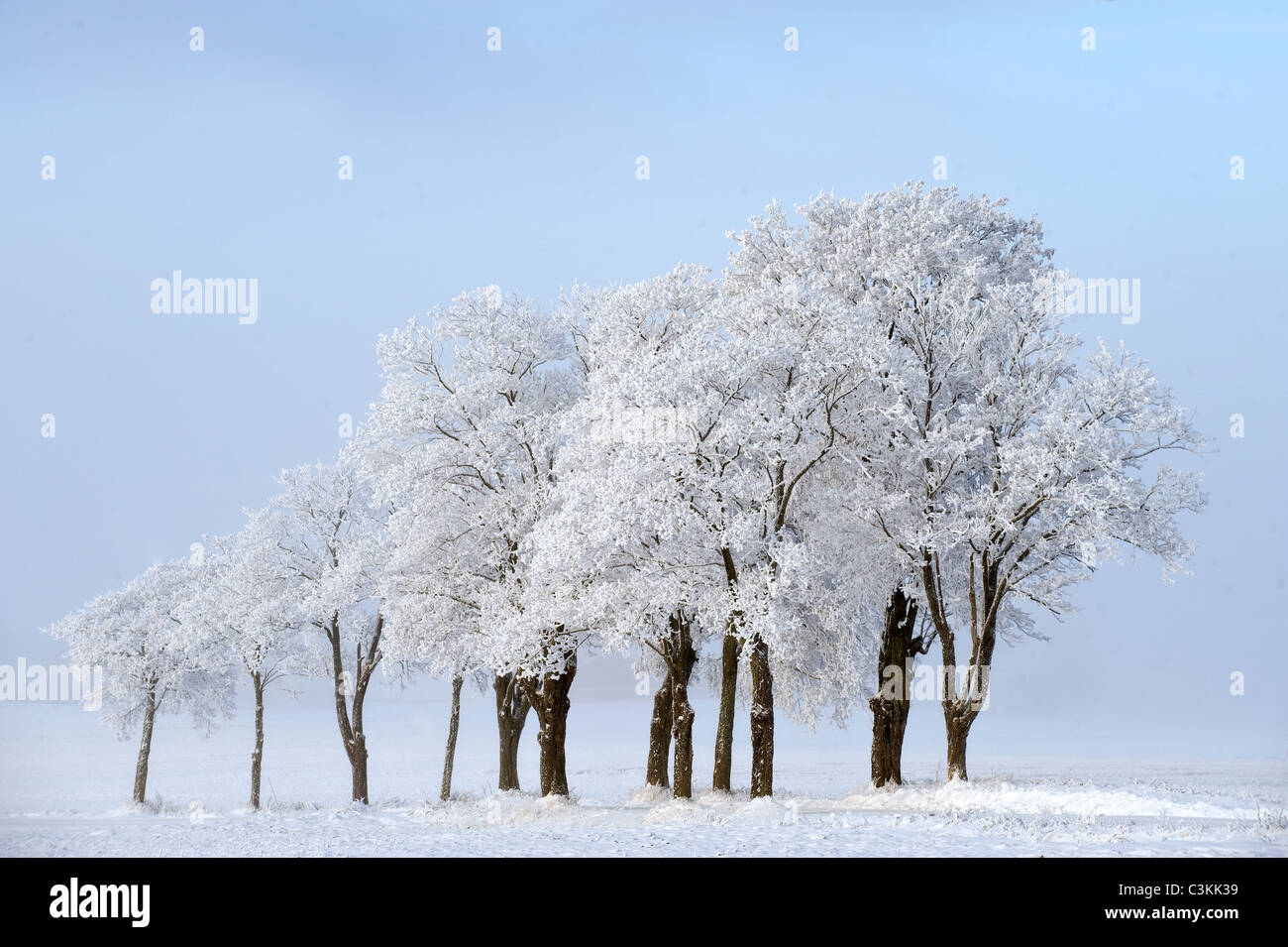Swedish winter scene hi-res stock photography and images - Alamy