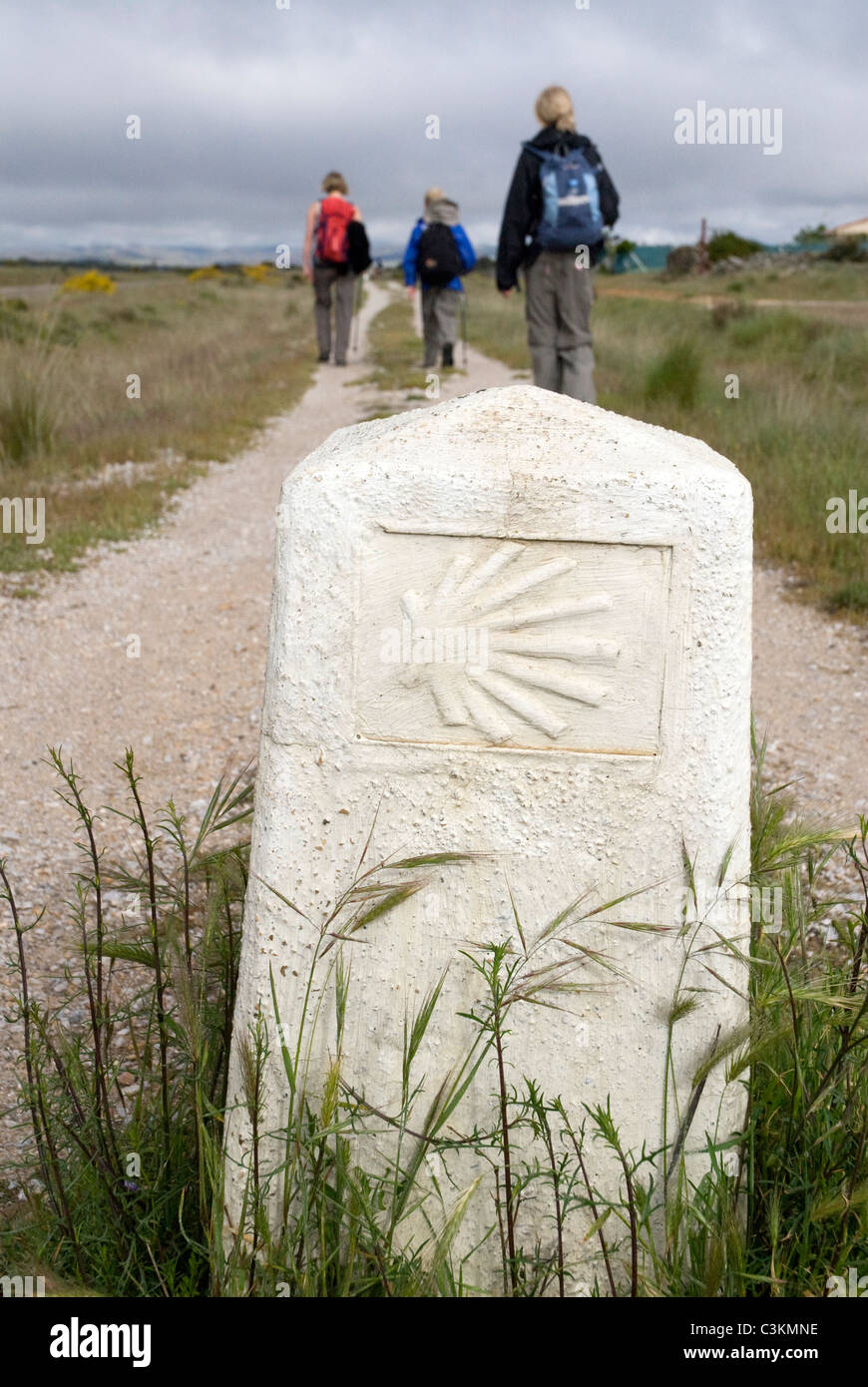 Route signpost along the pilgrimage route, Camino de Santiago, Northern ...