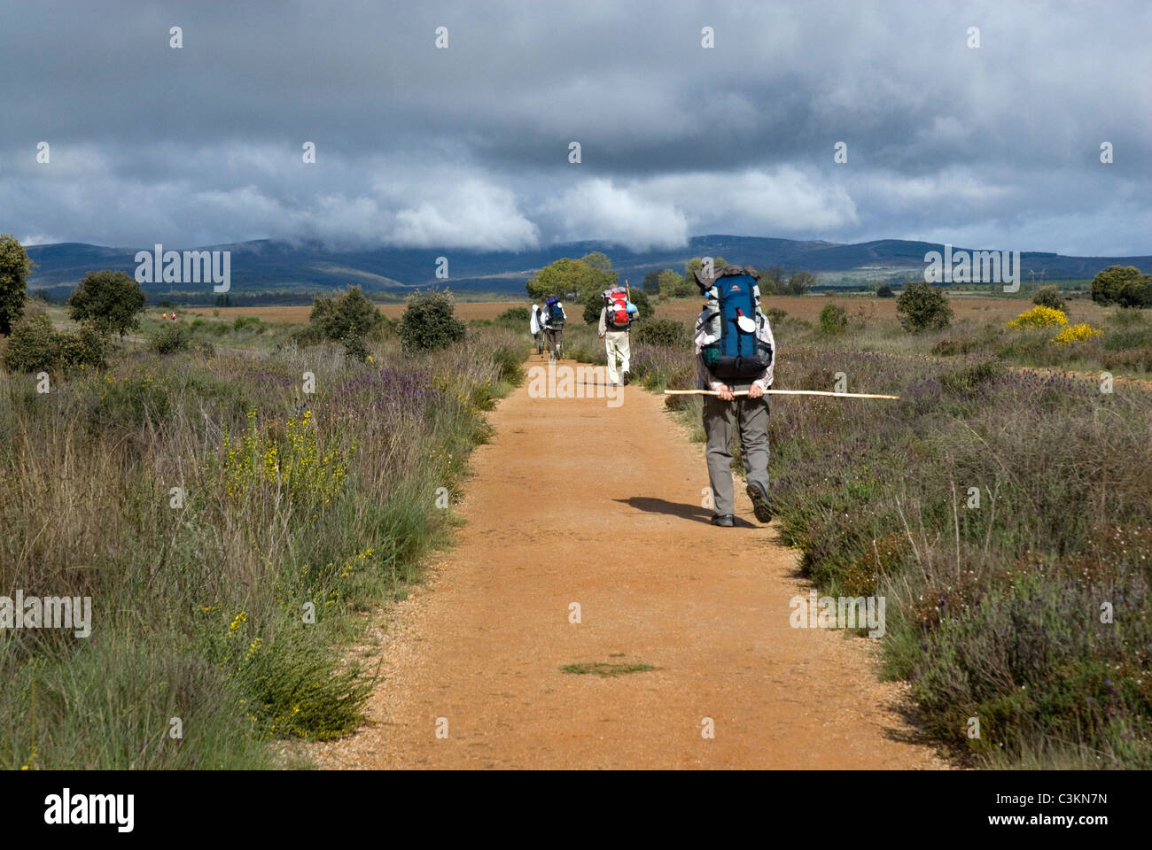 Camino De Santiago Pilgrimage Route High Resolution Stock Photography ...