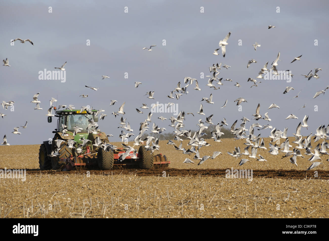 Uk farming march hi-res stock photography and images - Alamy