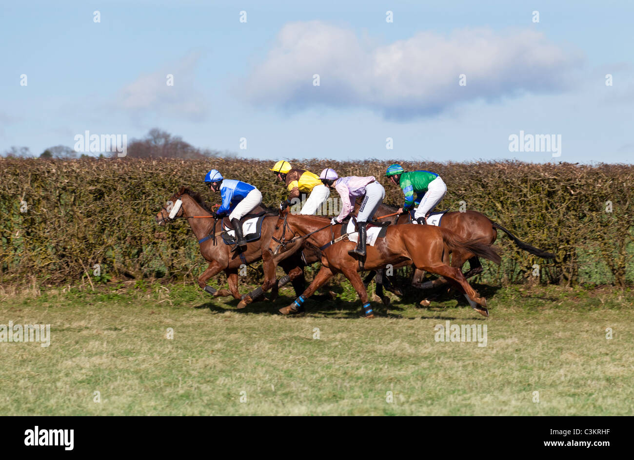 POINT TO POINT RACES AT HOWICK CHEPSTOW MONMOUTHSHIRE WALES UK Stock ...