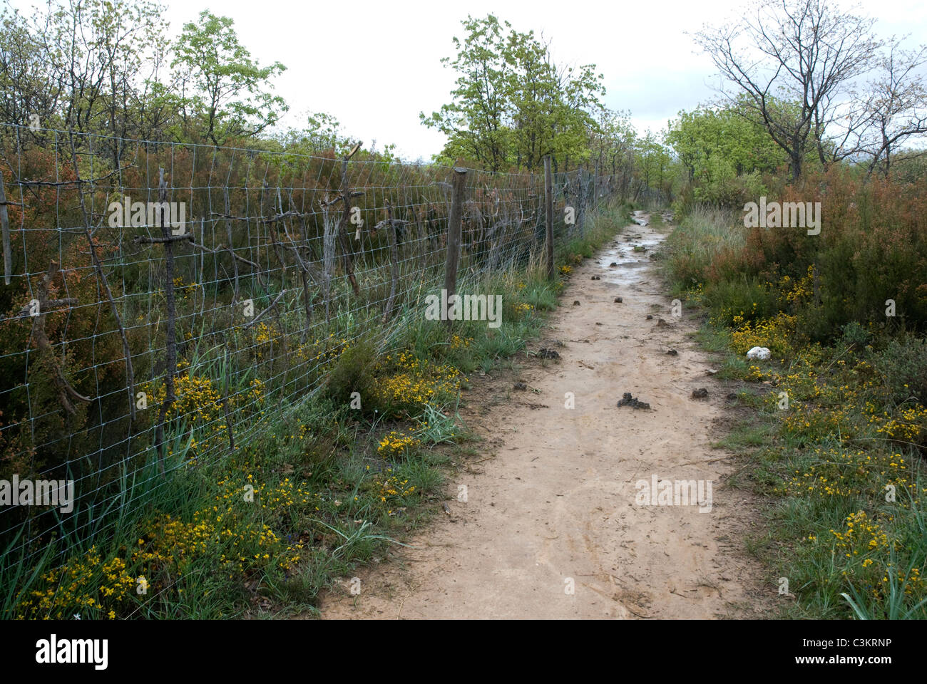 Pilgrimage pathway hi-res stock photography and images - Alamy