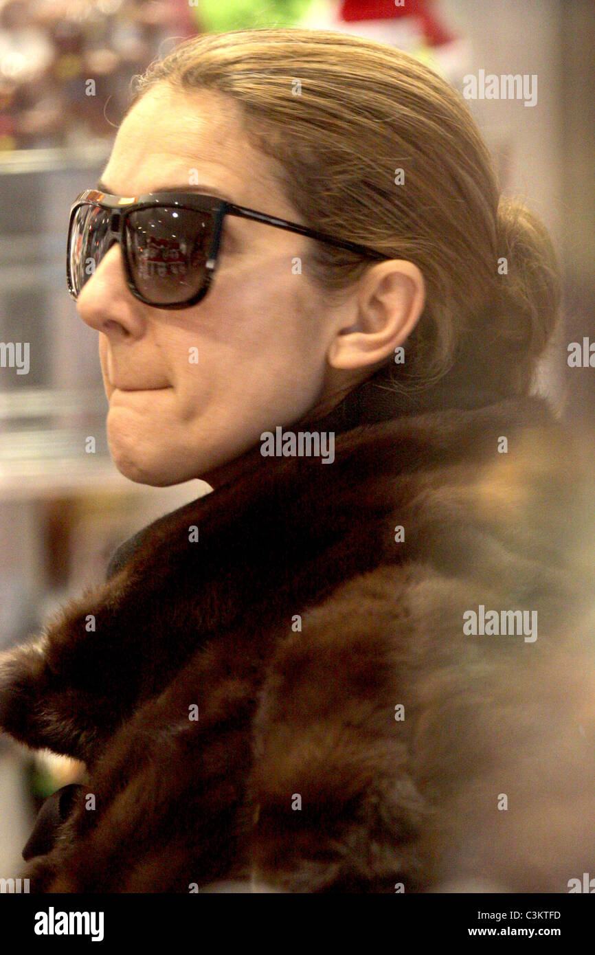 Celine Dion goes to Dylan's Candy Bar with her son New York City, USA ...