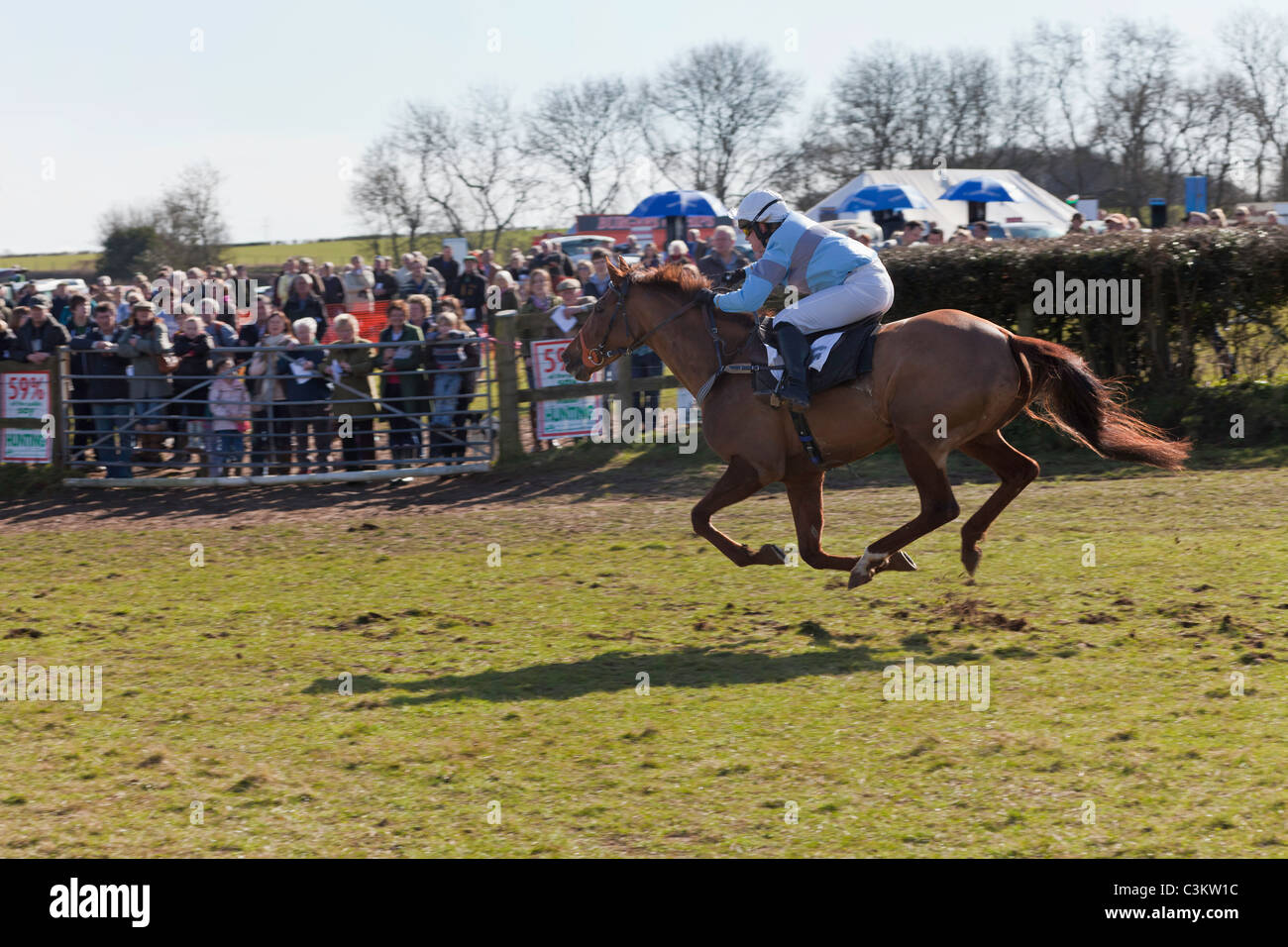 Lady jockey horse point point hi-res stock photography and images - Alamy