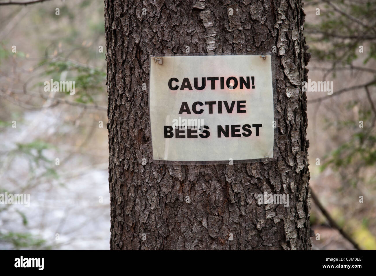 Tree with "Active Bees Nest" sign Stock Photo - Alamy