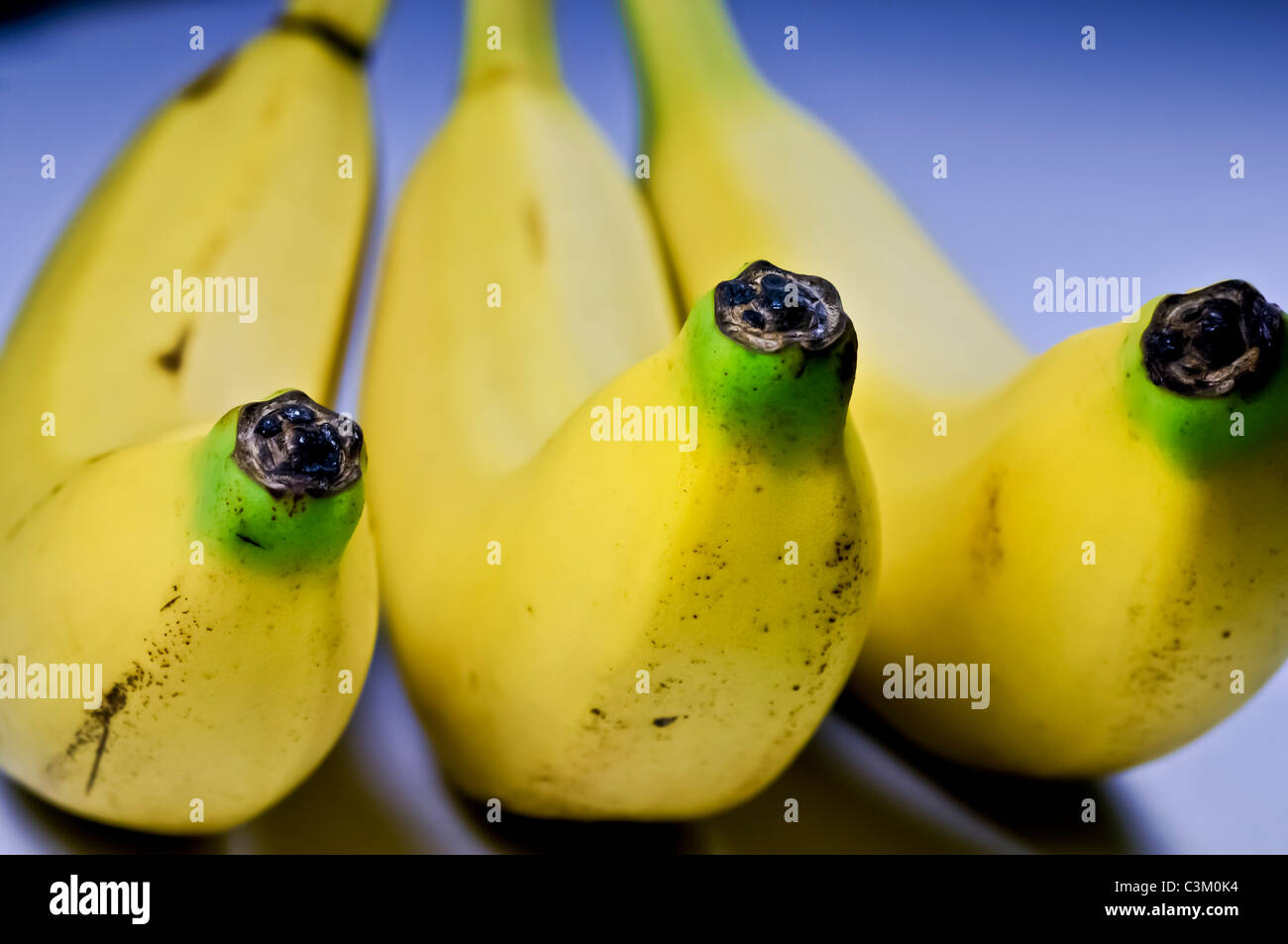 Three bananas, taken close up on the end Stock Photo - Alamy