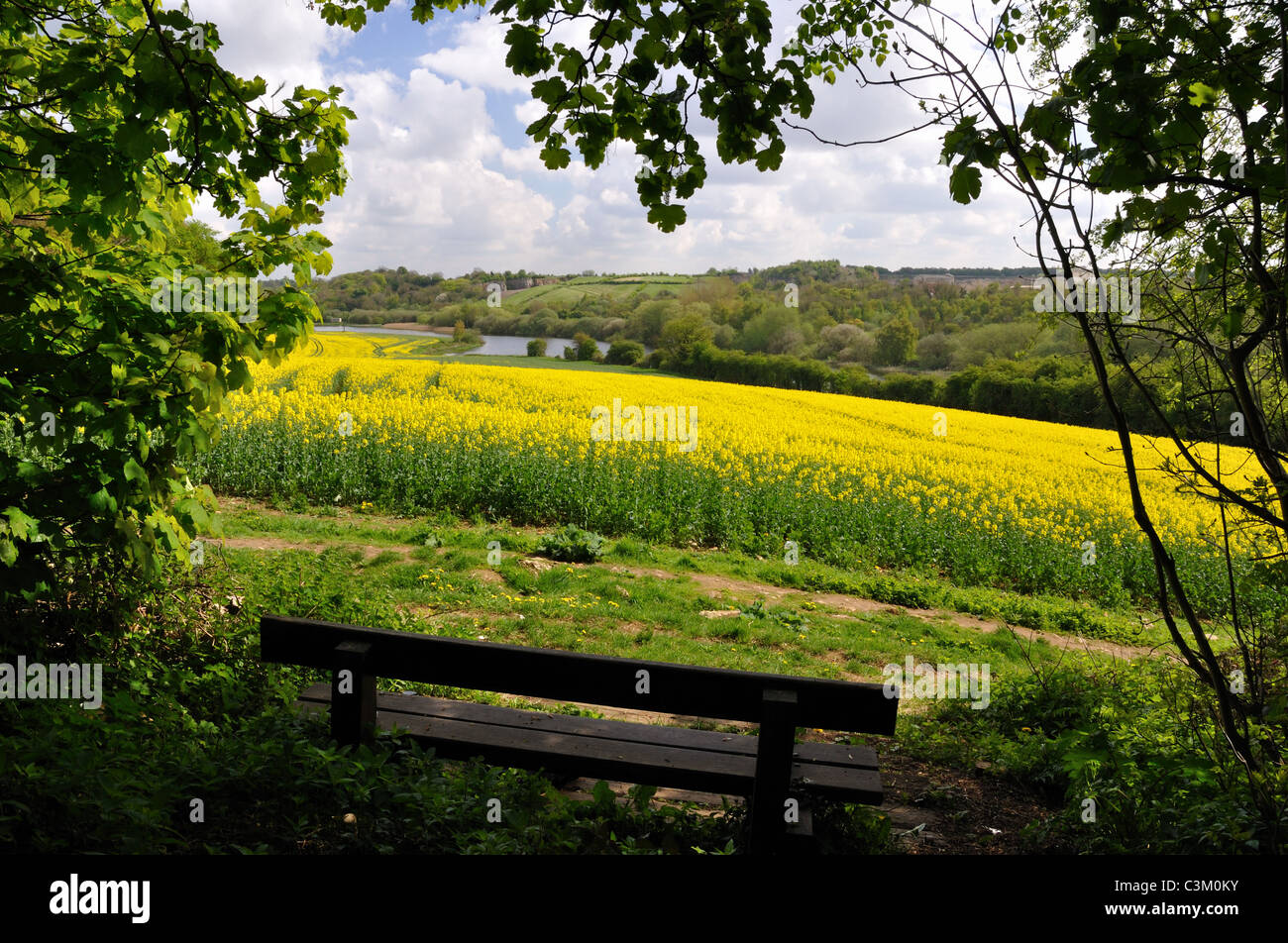 Sprotbrough Flash Nature Reserve, South Yorkshire Stock Photo - Alamy