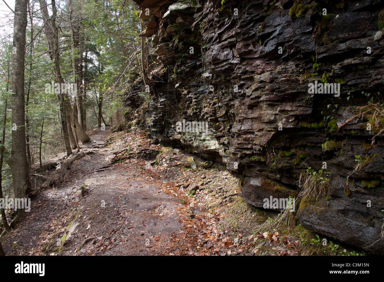 The Falls Trail, Ricketts Glen State Park, Benton, PA, USA Stock Photo ...