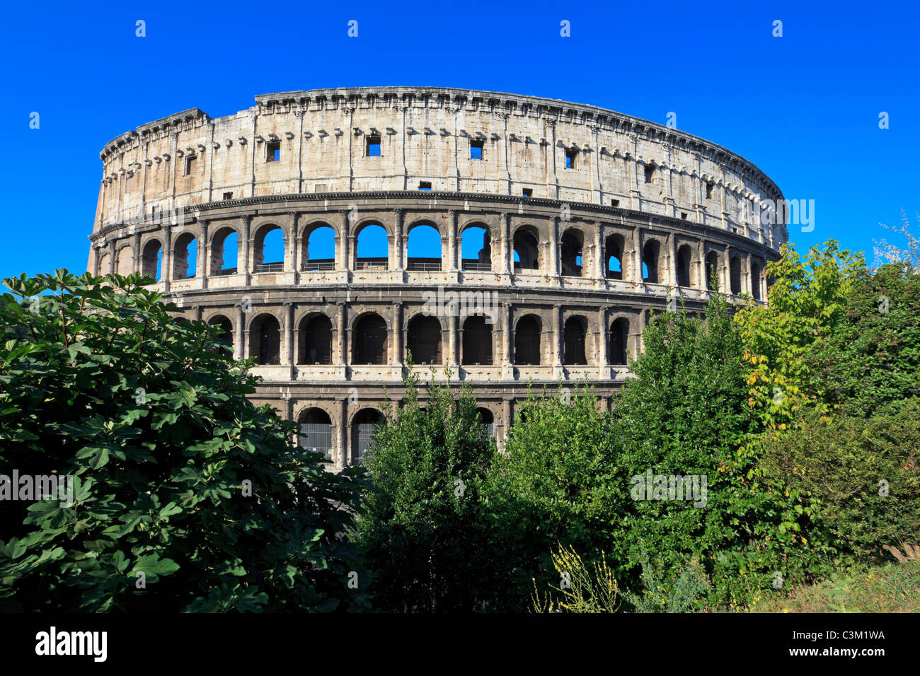 The Colosseum, the world famous landmark in Rome, Italy Stock Photo - Alamy