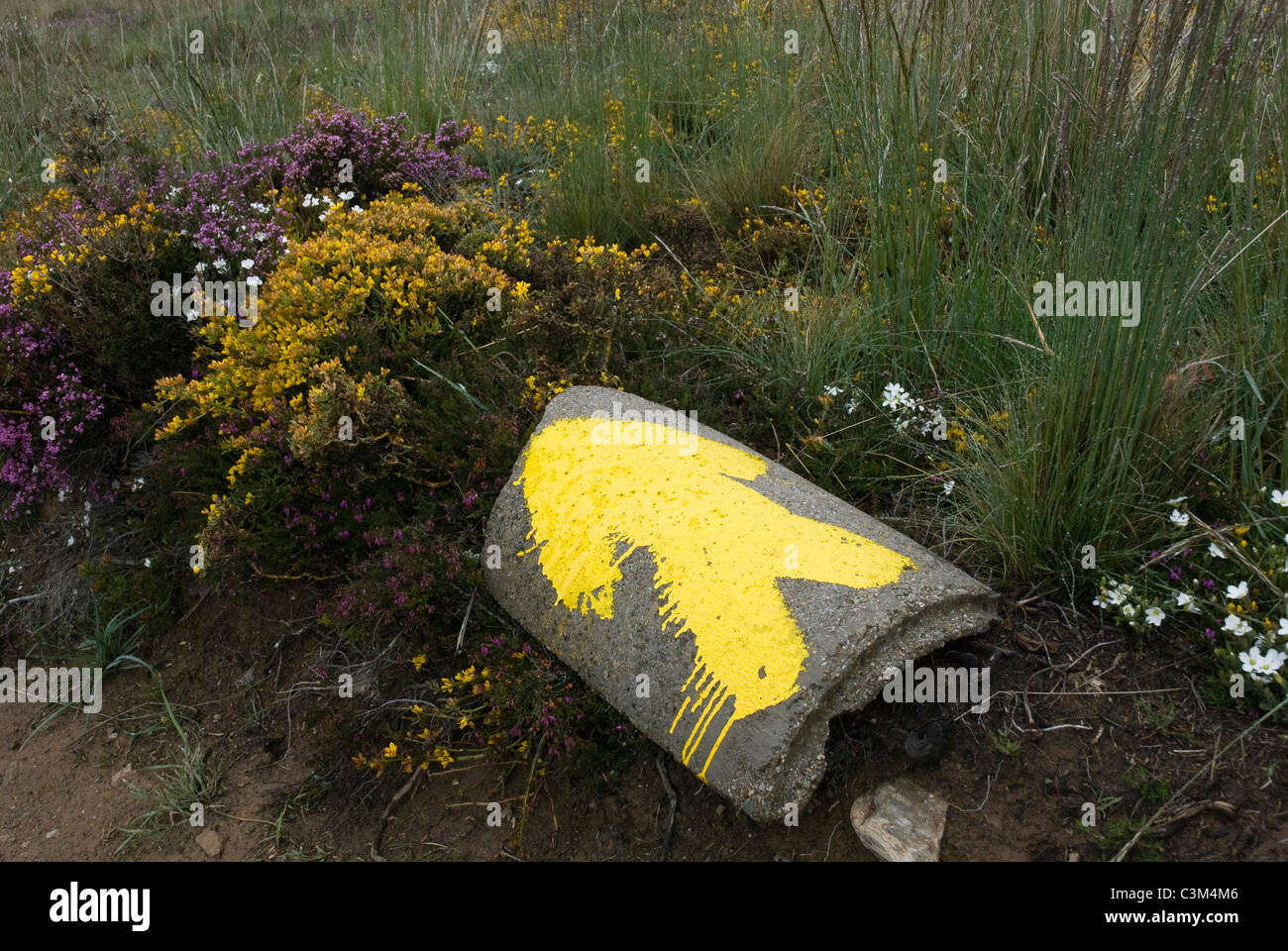 Yellow arrow sign on a rock, Camino de Santiago, Northern Spain Stock ...