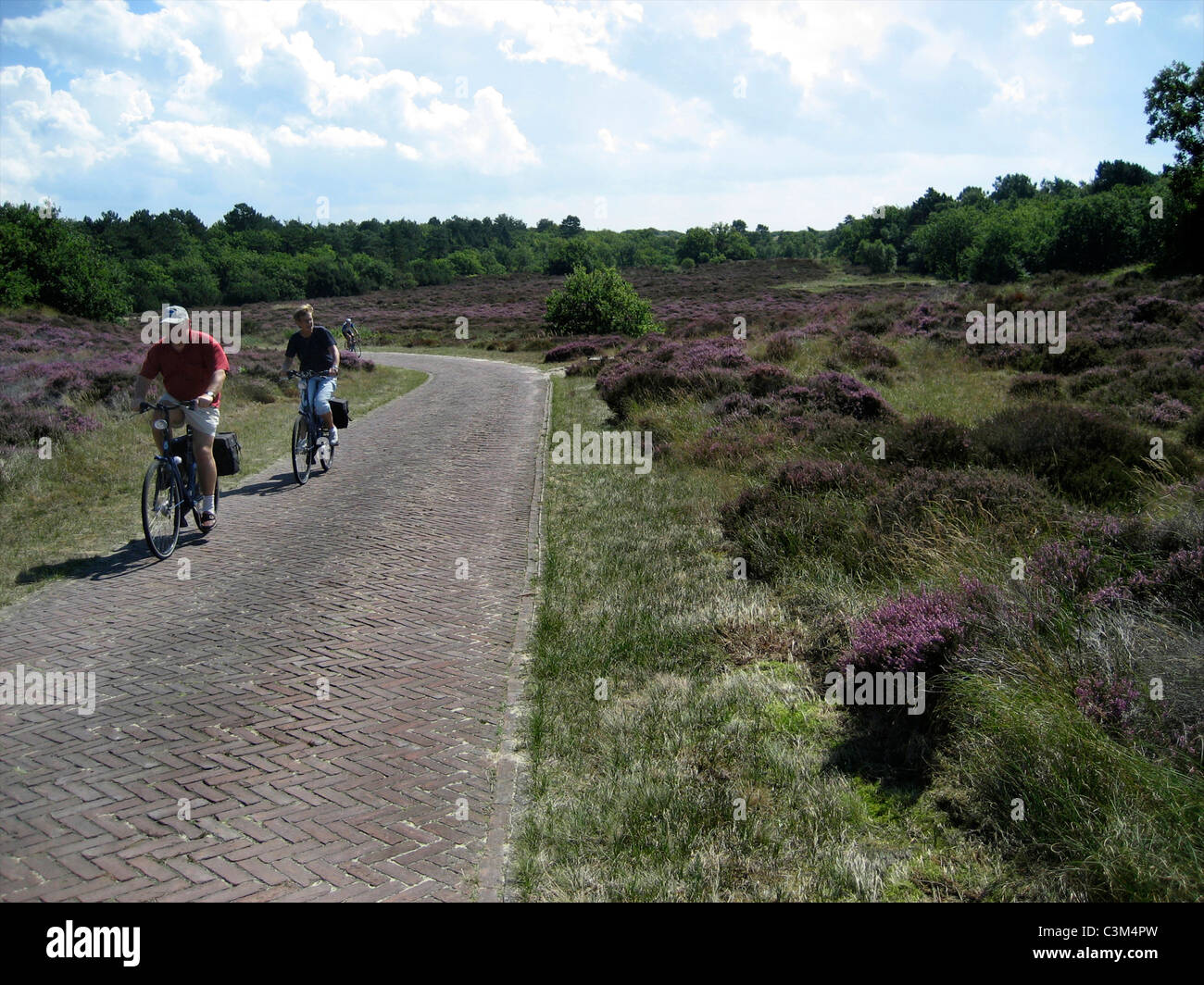 nature reserve in Holland Stock Photo - Alamy