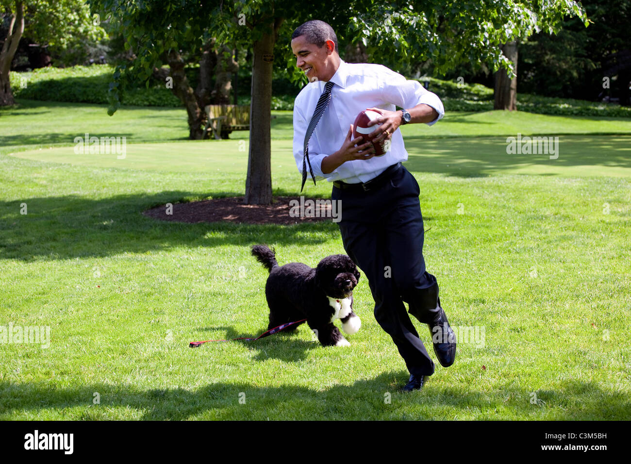 President Obama Family Dog Bo High Resolution Stock Photography and ...