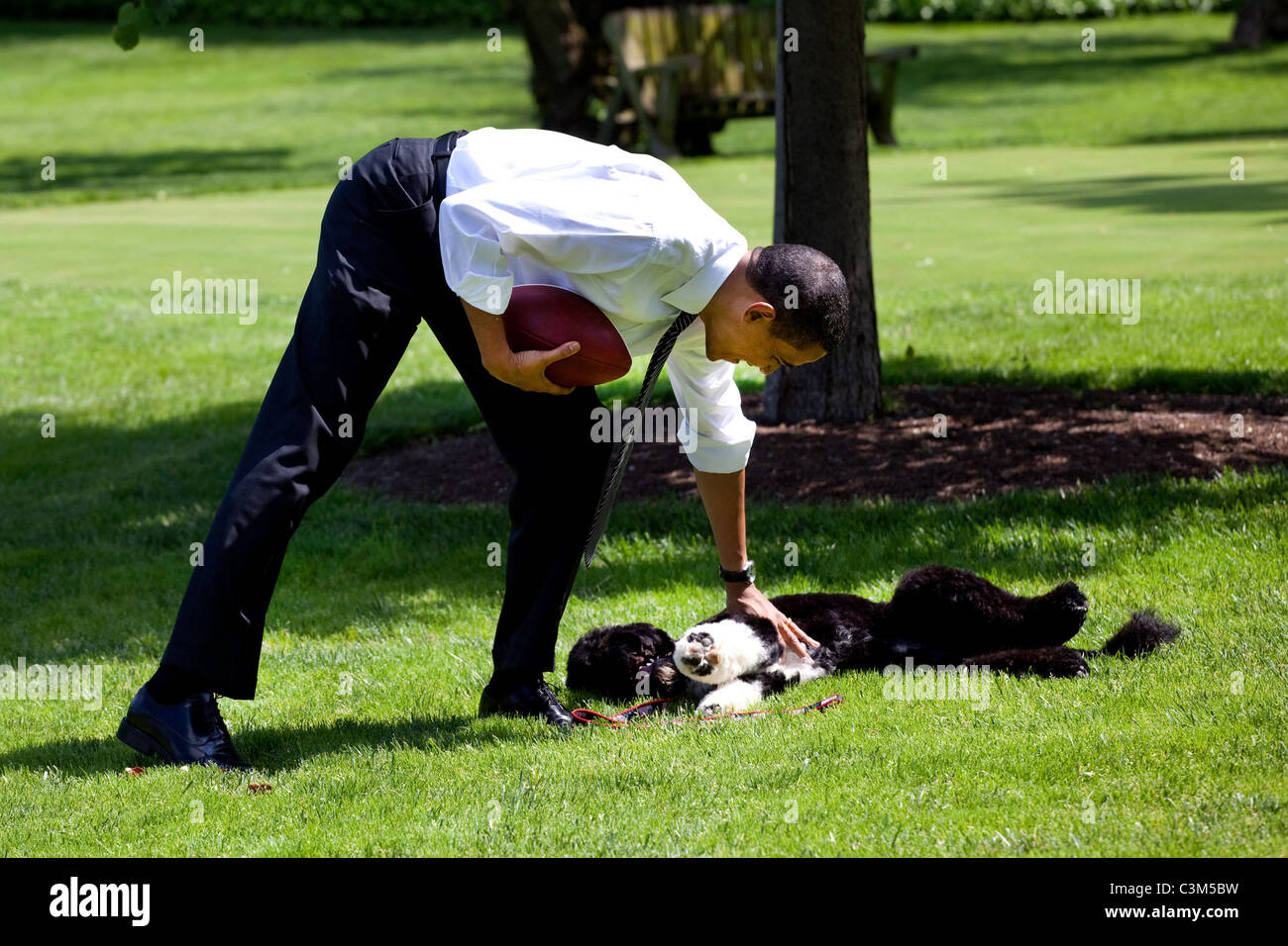 President Barack Obama pets the family dog, Bo, during a brief break ...