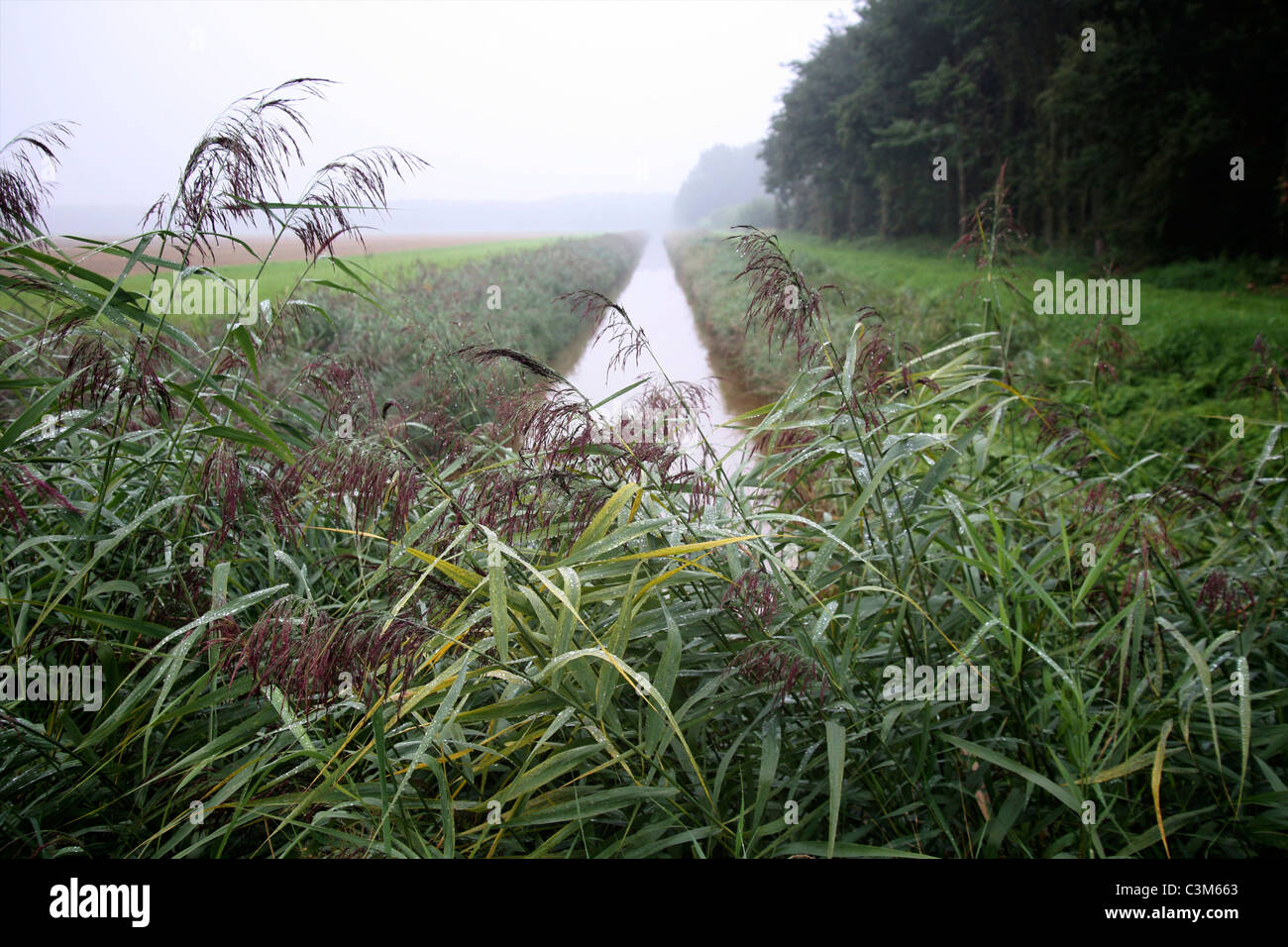 watermanagement in Holland Stock Photo - Alamy