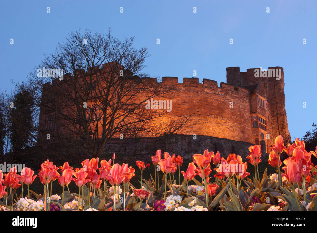 Motte and bailey castle hi-res stock photography and images - Alamy