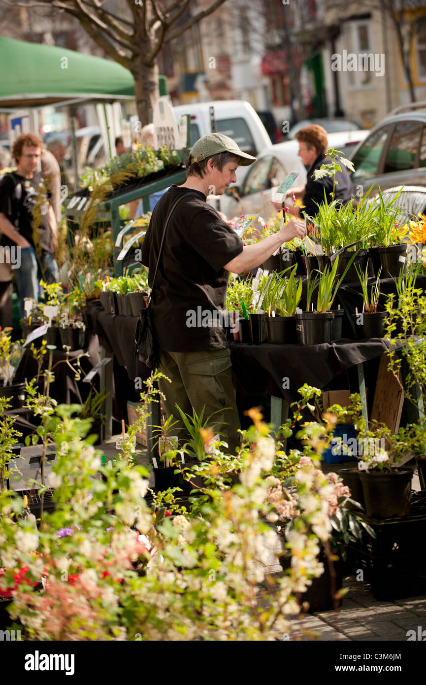 Man street selling flowers hi-res stock photography and images - Alamy