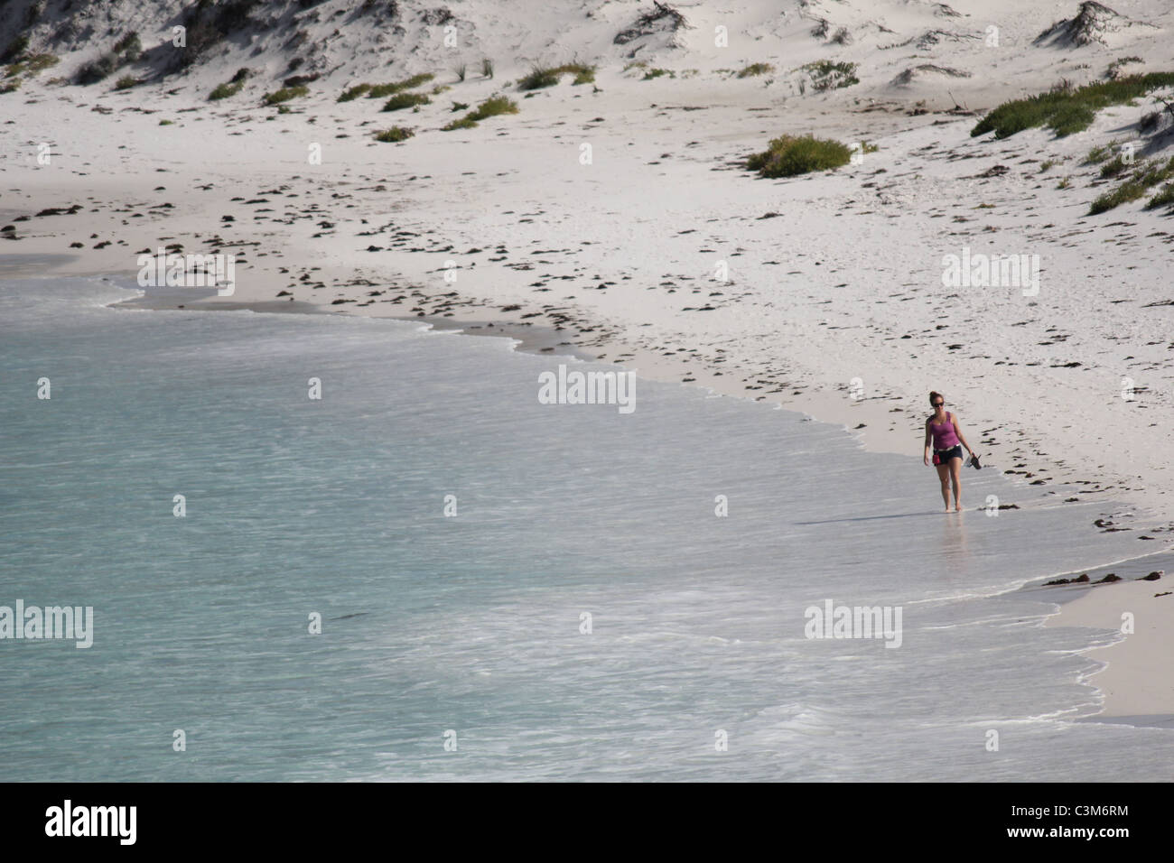 Wandering on the beach hi-res stock photography and images - Alamy