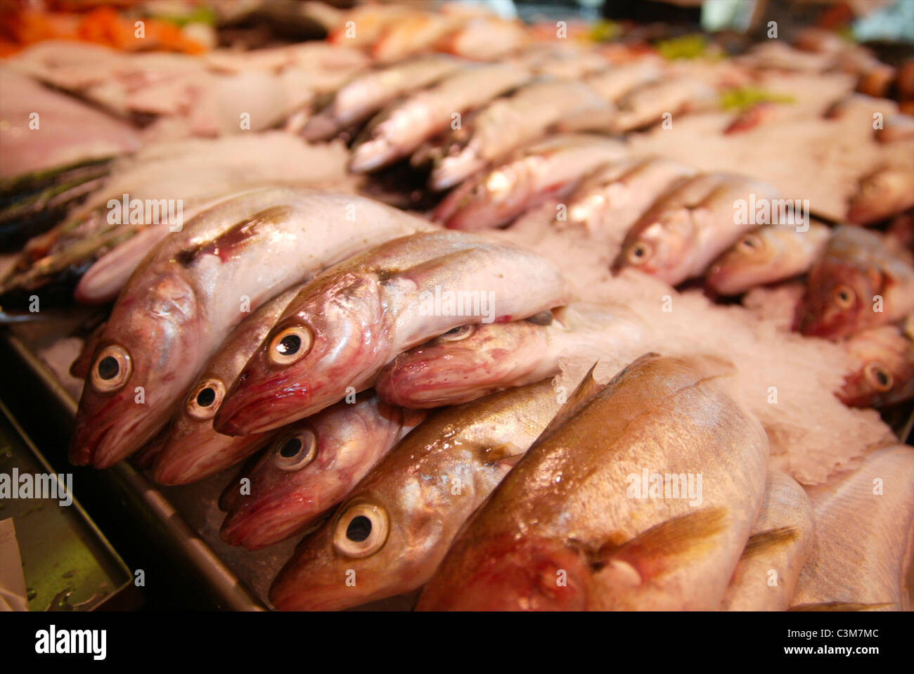 fishmarket in Amsterdam Stock Photo - Alamy