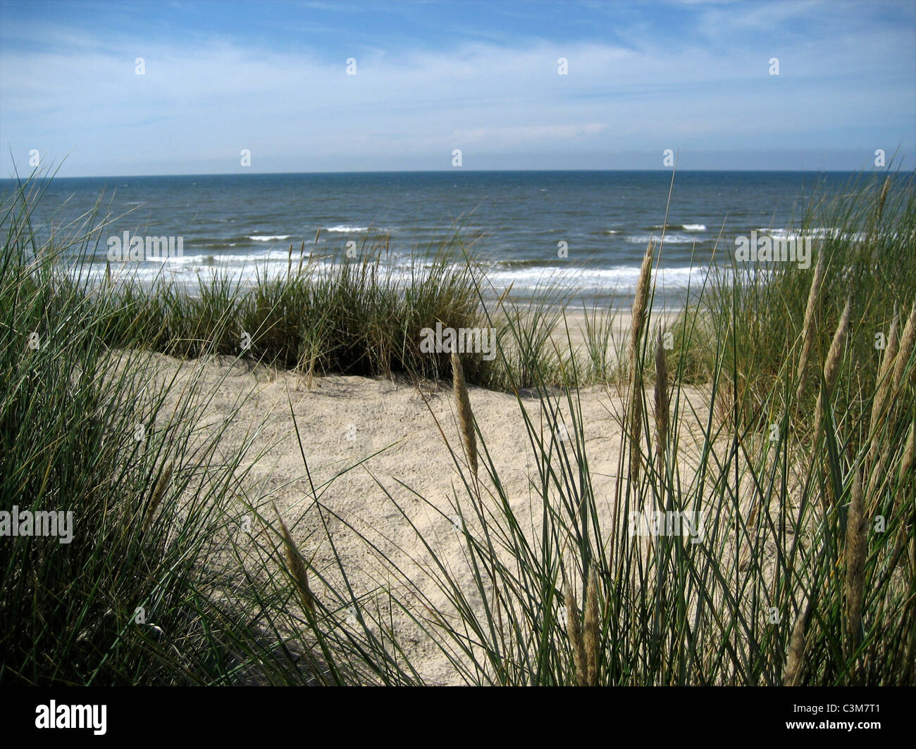 nature reserve in Holland Stock Photo - Alamy