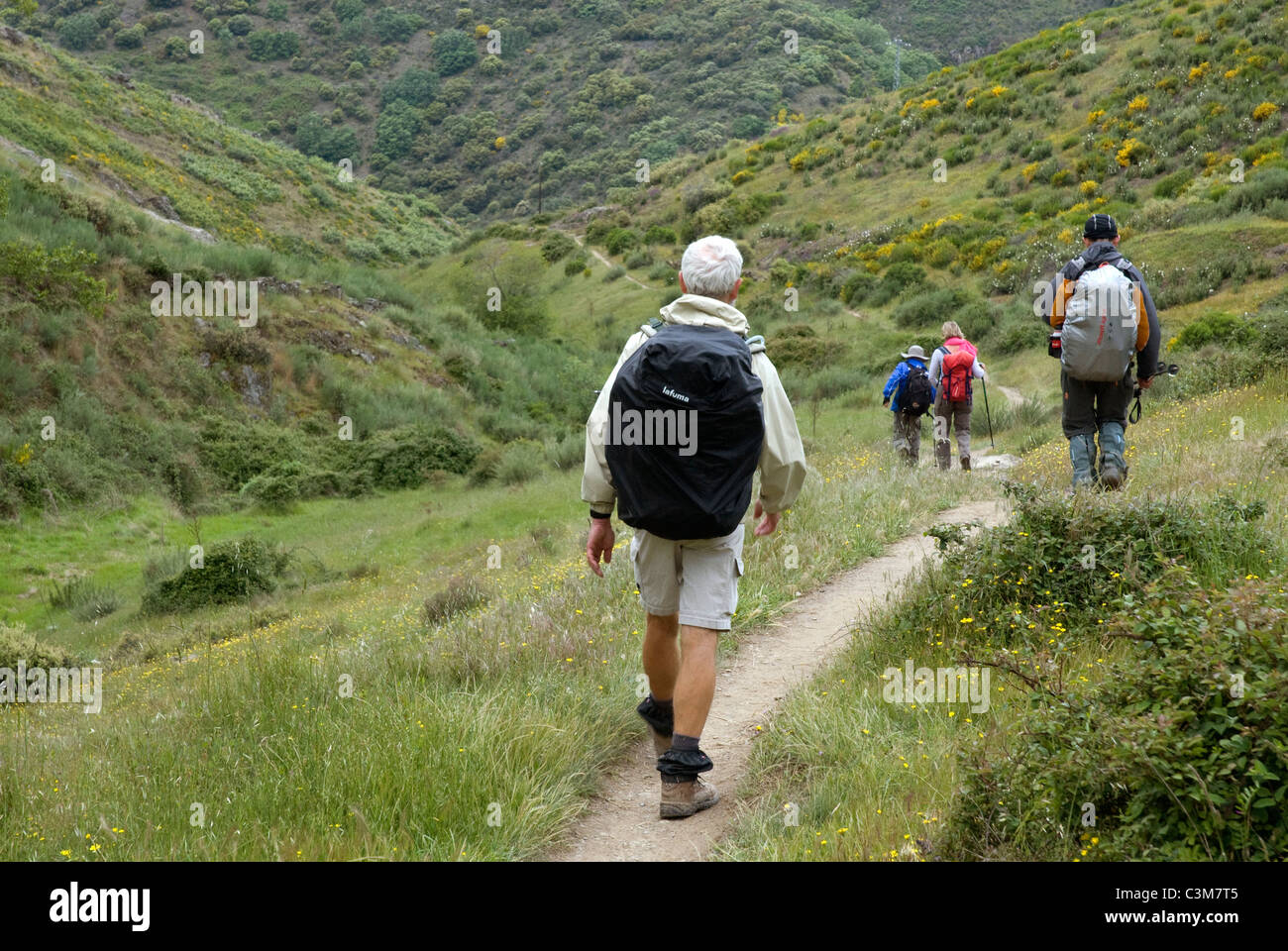 Pilgrims walking along a footpath in the Camino de Santiago, Northern ...