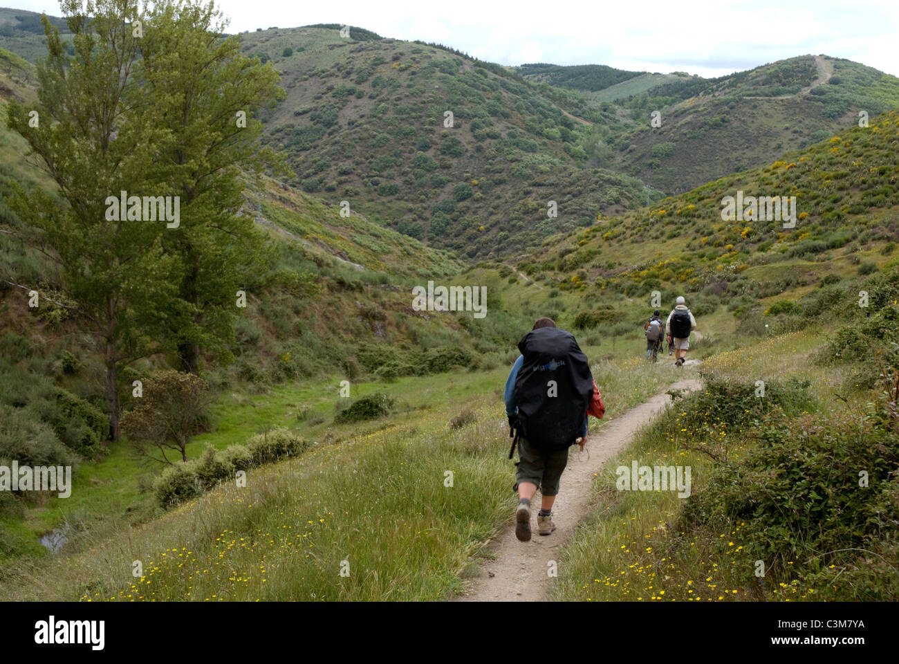 Pilgrims walking along a footpath in the Camino de Santiago, Northern ...