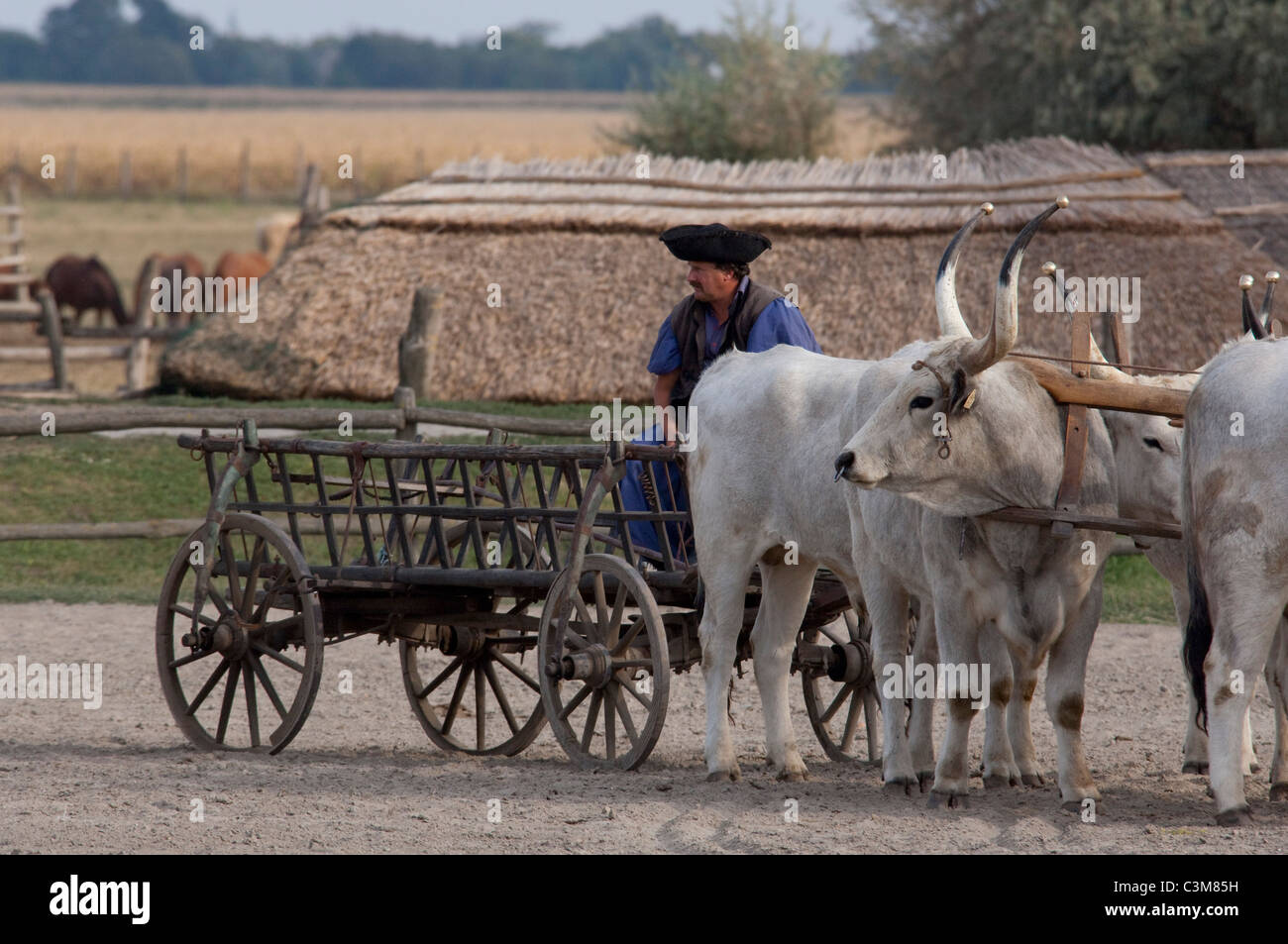 Hungary, Kalocsa, Great Plains (Puszta). Traditional Hungarian ranch ...