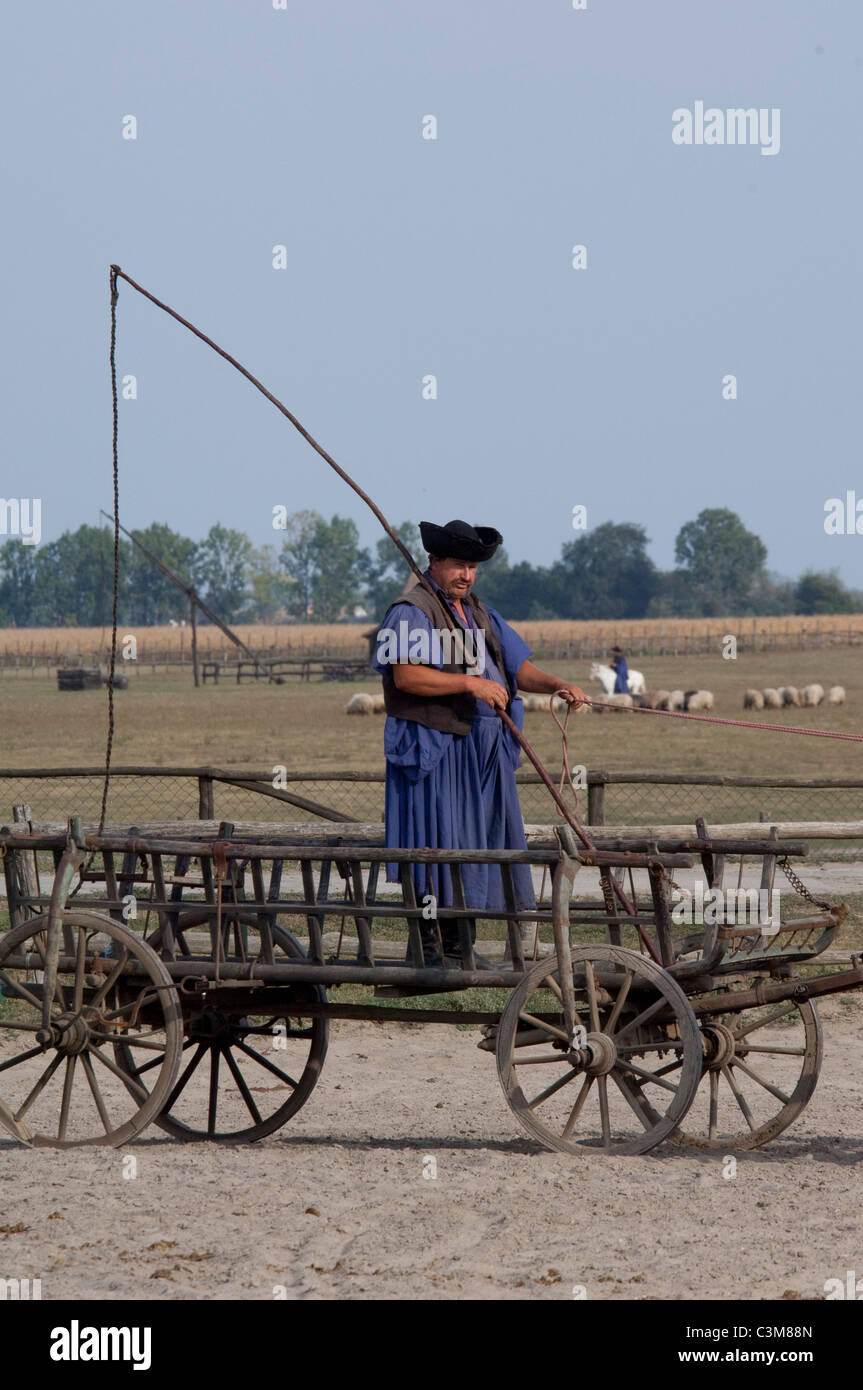 Wagon driver hi-res stock photography and images - Alamy